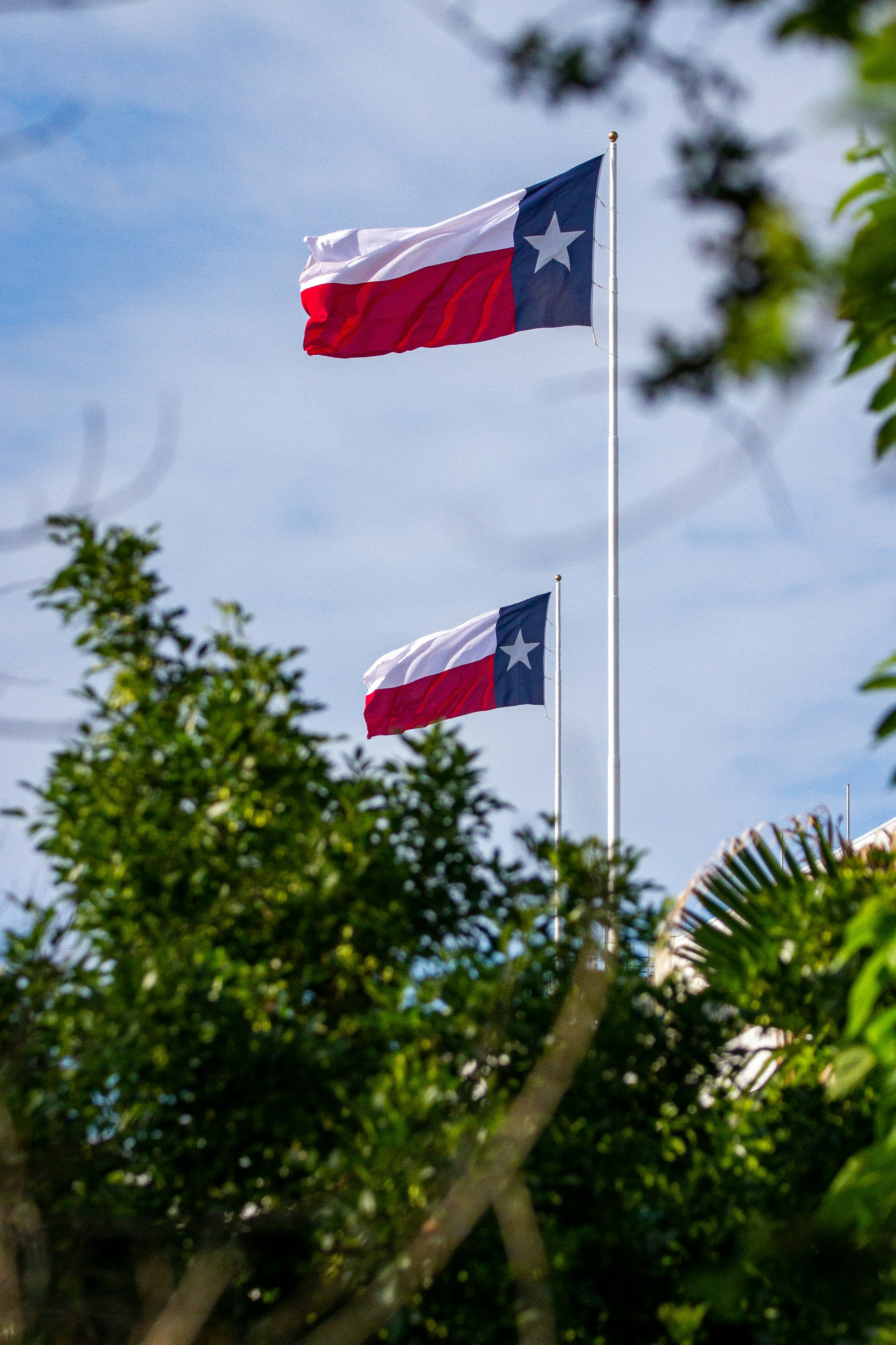 30k+ Texas Flag Pictures | Download Free Images on Unsplash