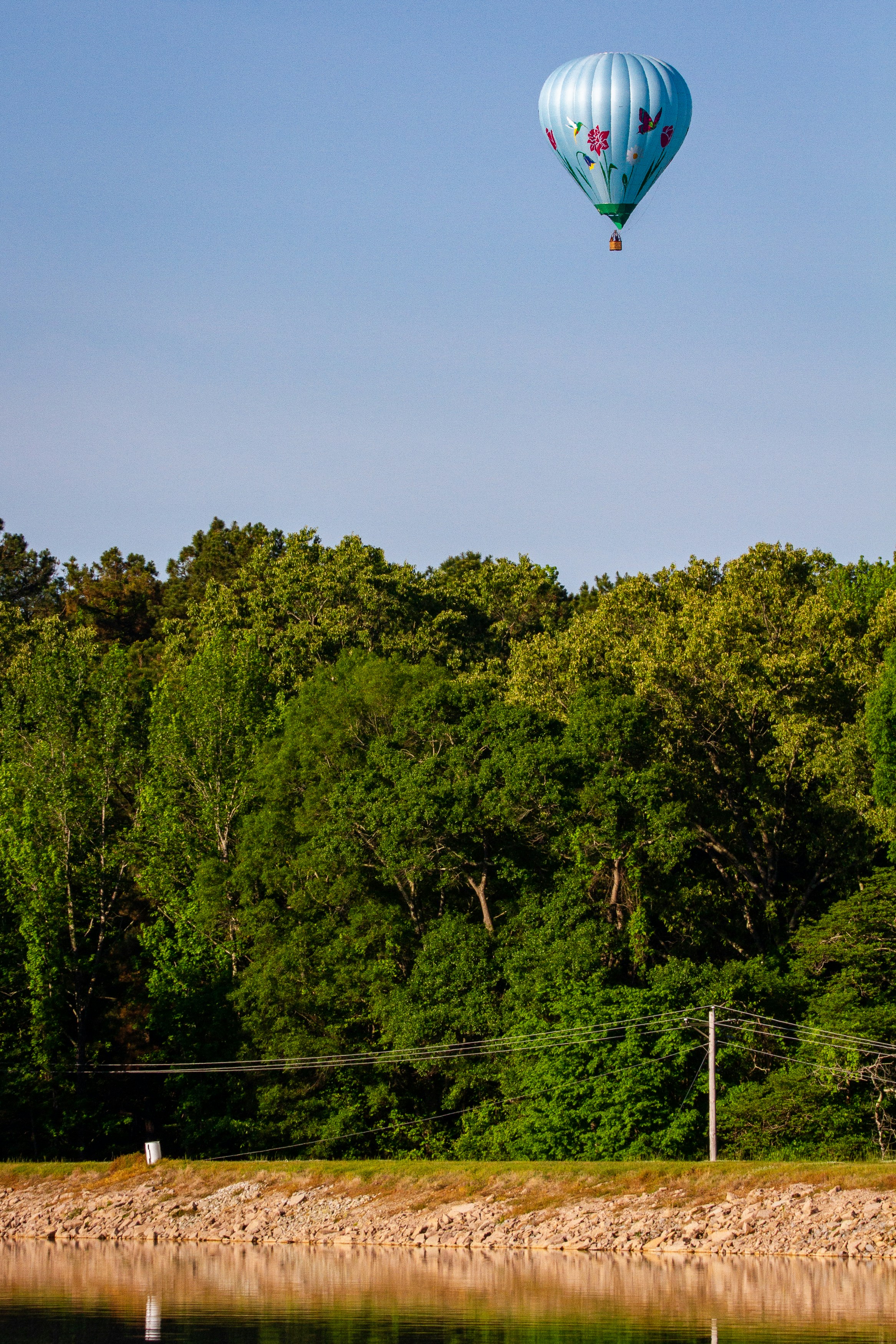 A hot air balloon with a garden scene flies over the trees.