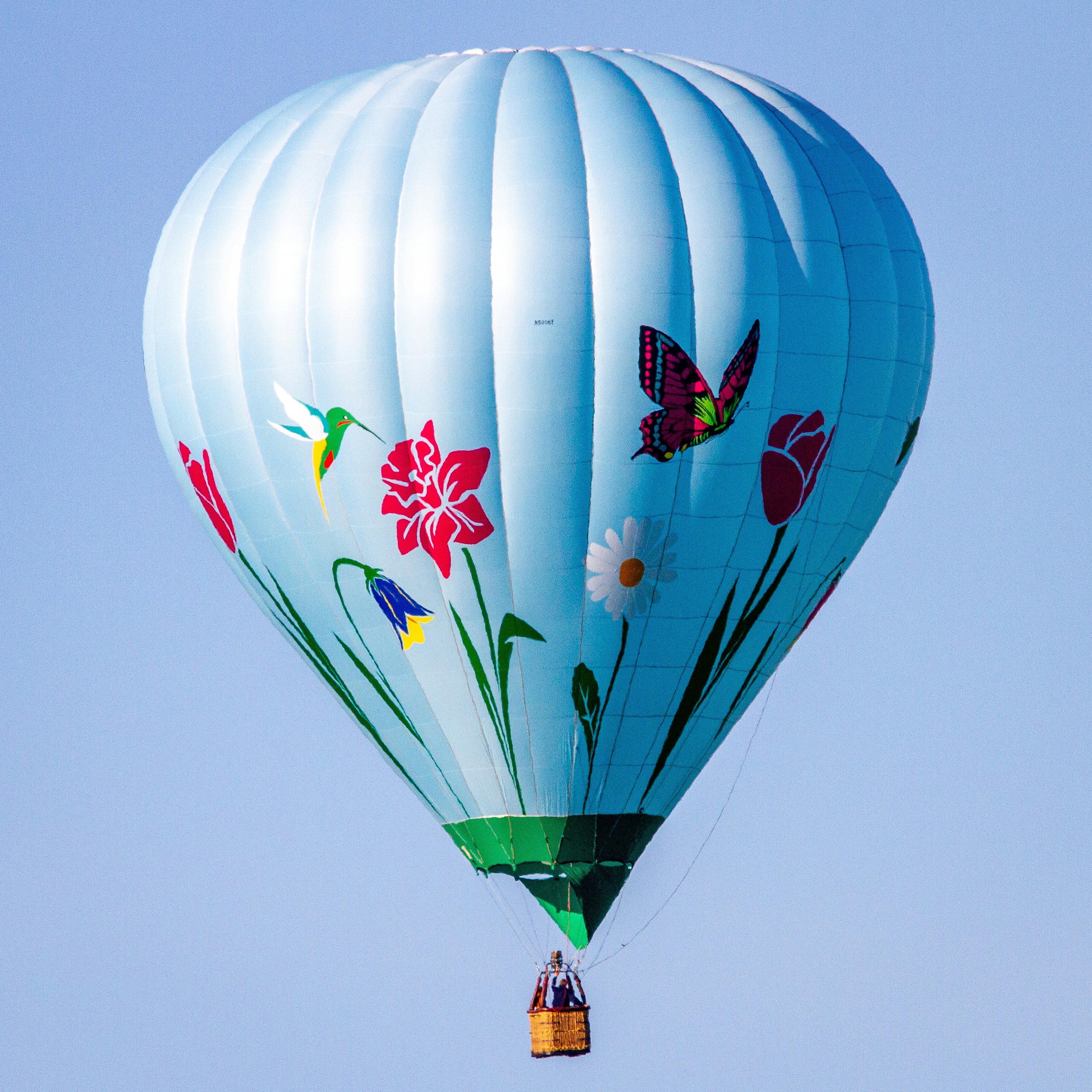 A hot air balloon with a garden scene flies overhead.