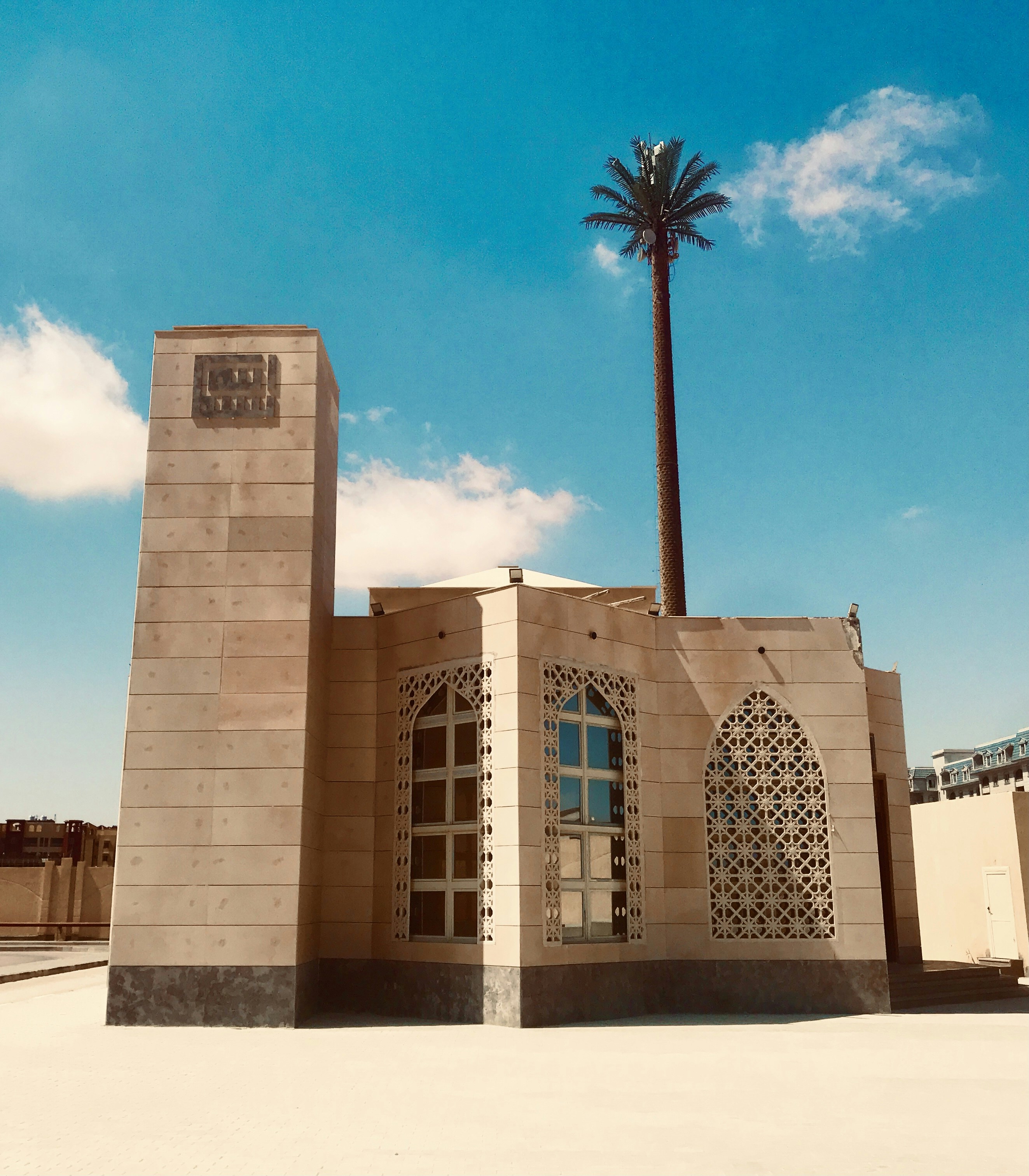 Lattice Arches under a Skyward Palm: Desert Pavilion in Morning Light