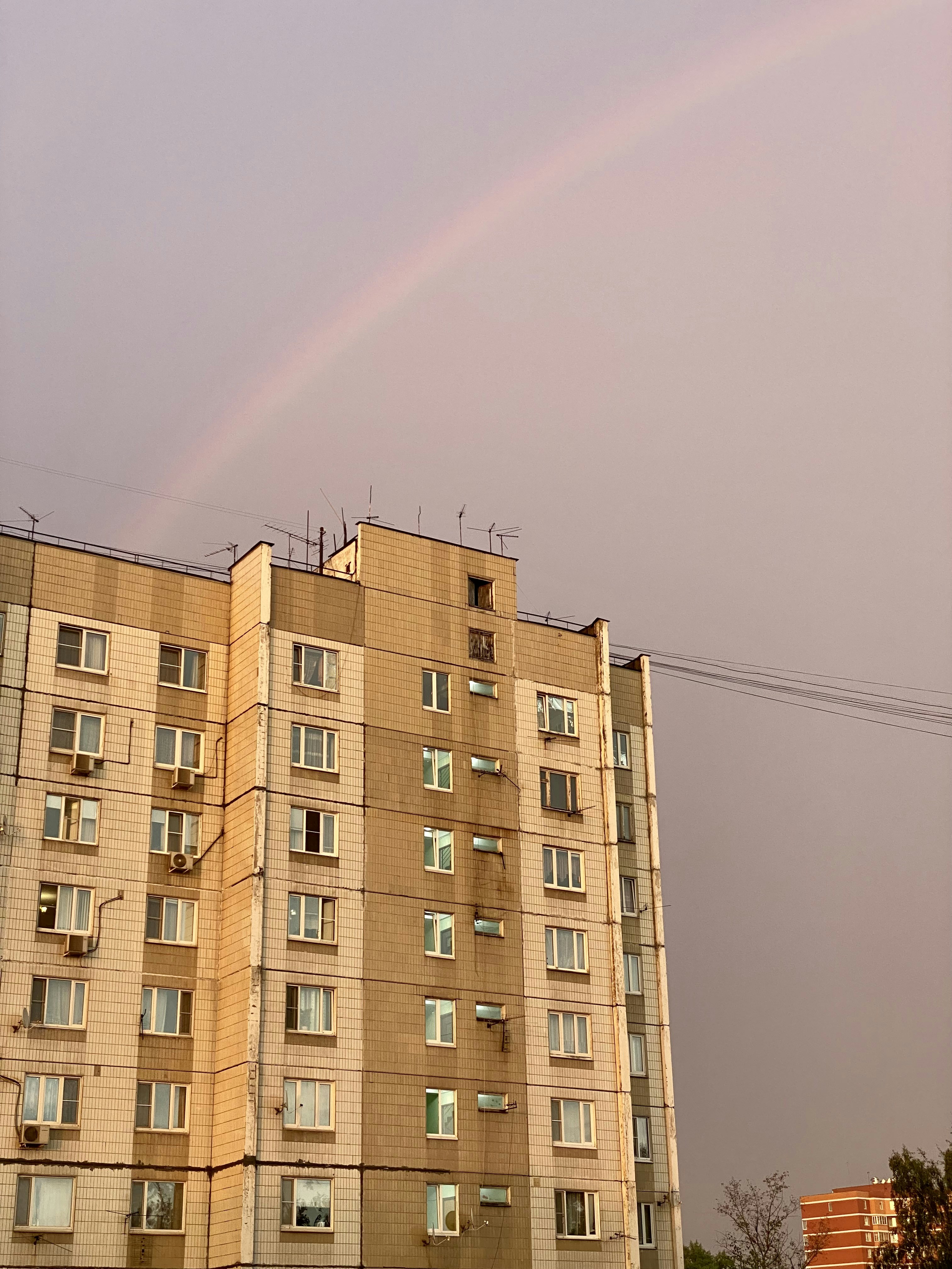 Rainbow 