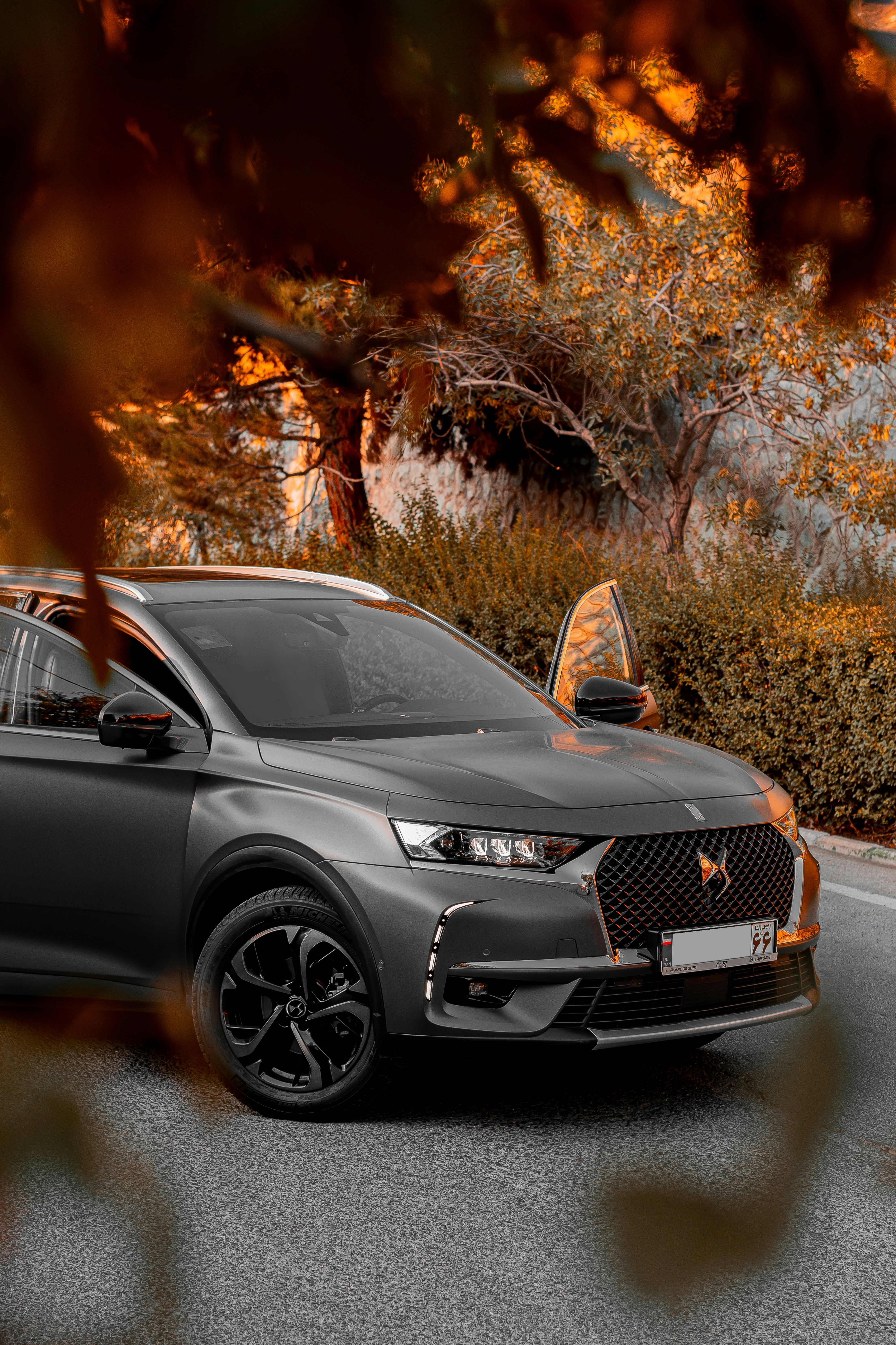 Midday Shadow: A Charcoal SUV Emerges from Autumn Framed by Foliage