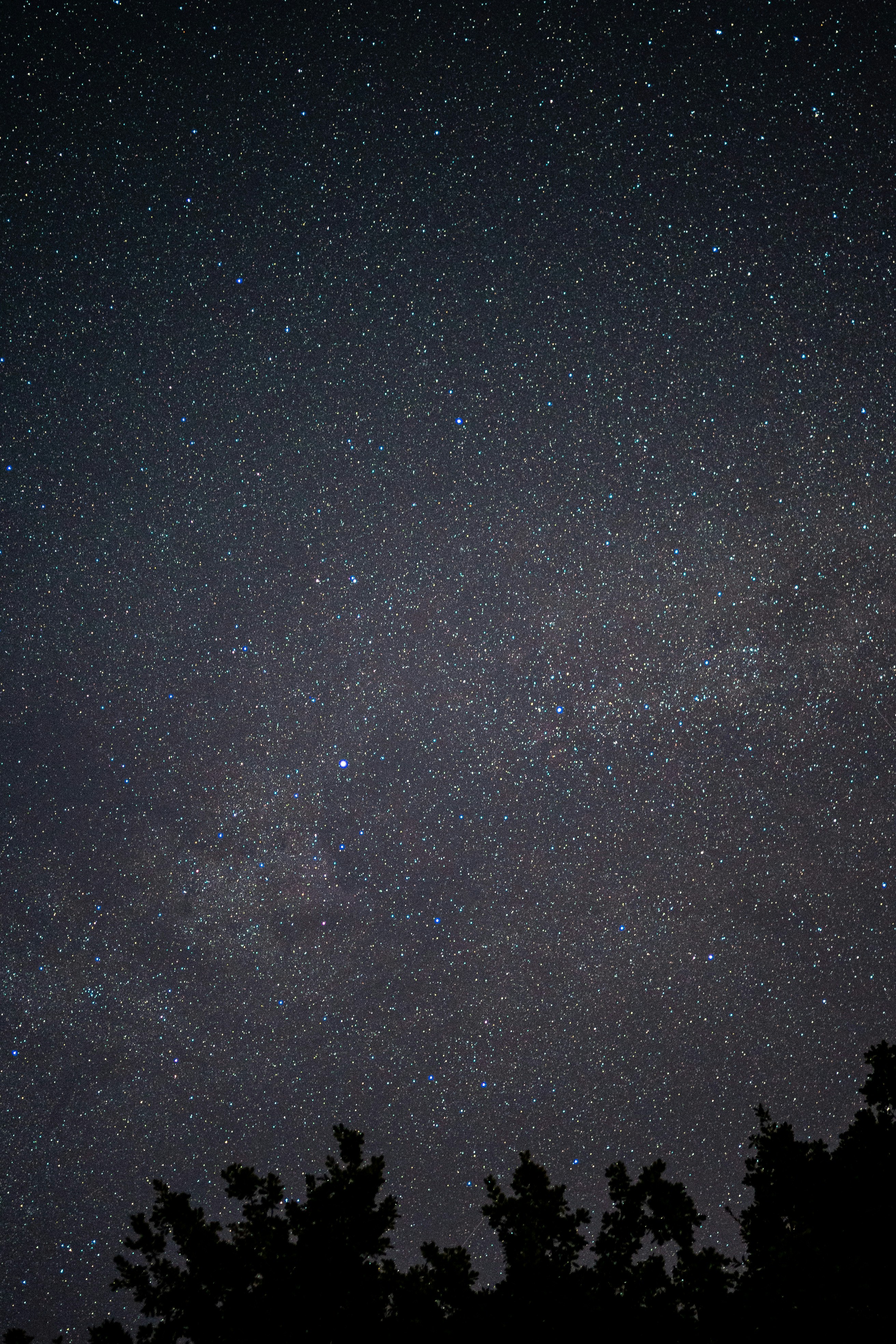 Black and white starry night photo – Free Grey Image on Unsplash