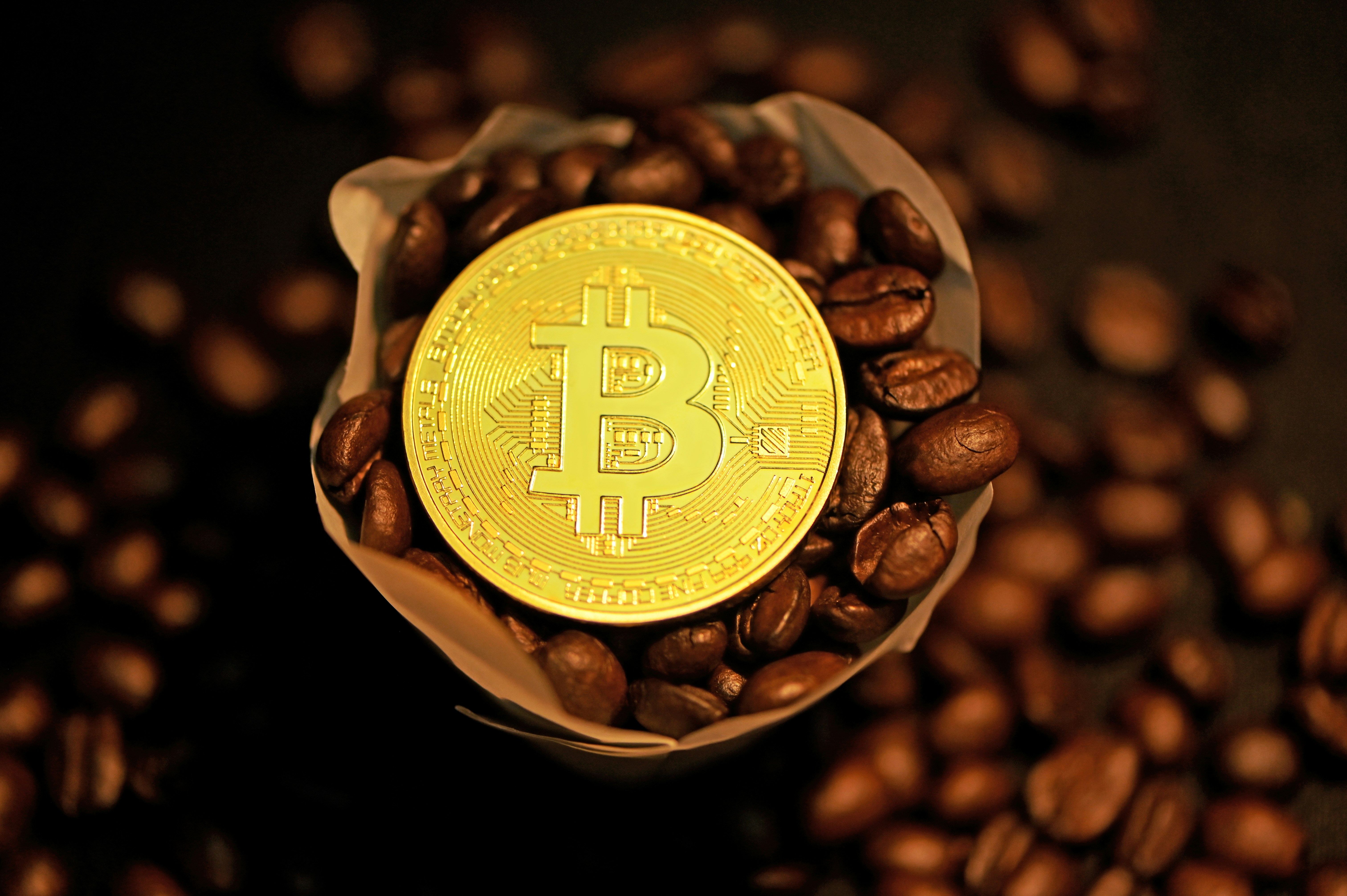 Gold round coin on coffee beans photo – Free Coin Image on Unsplash