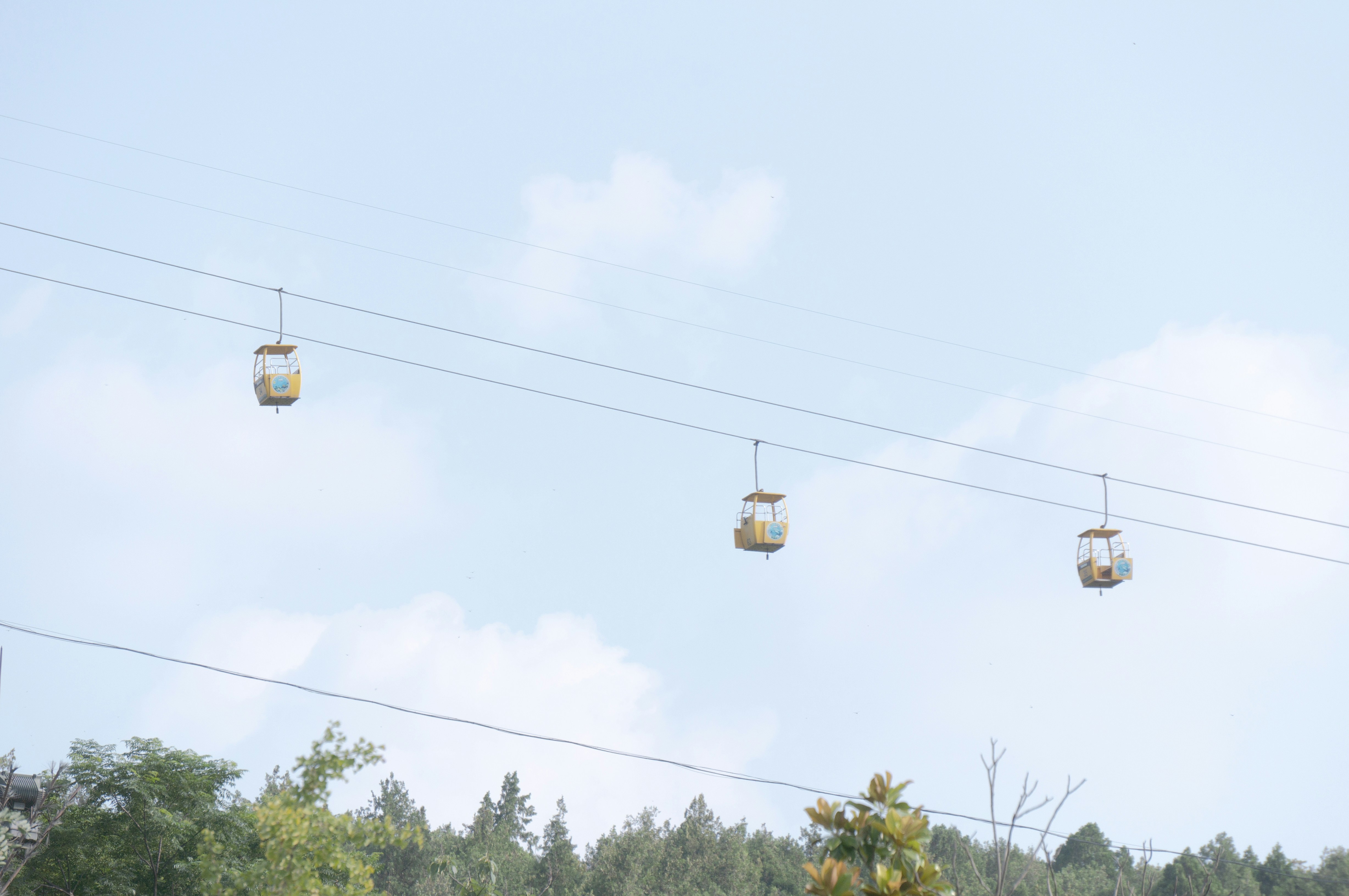 yellow and black cable cars