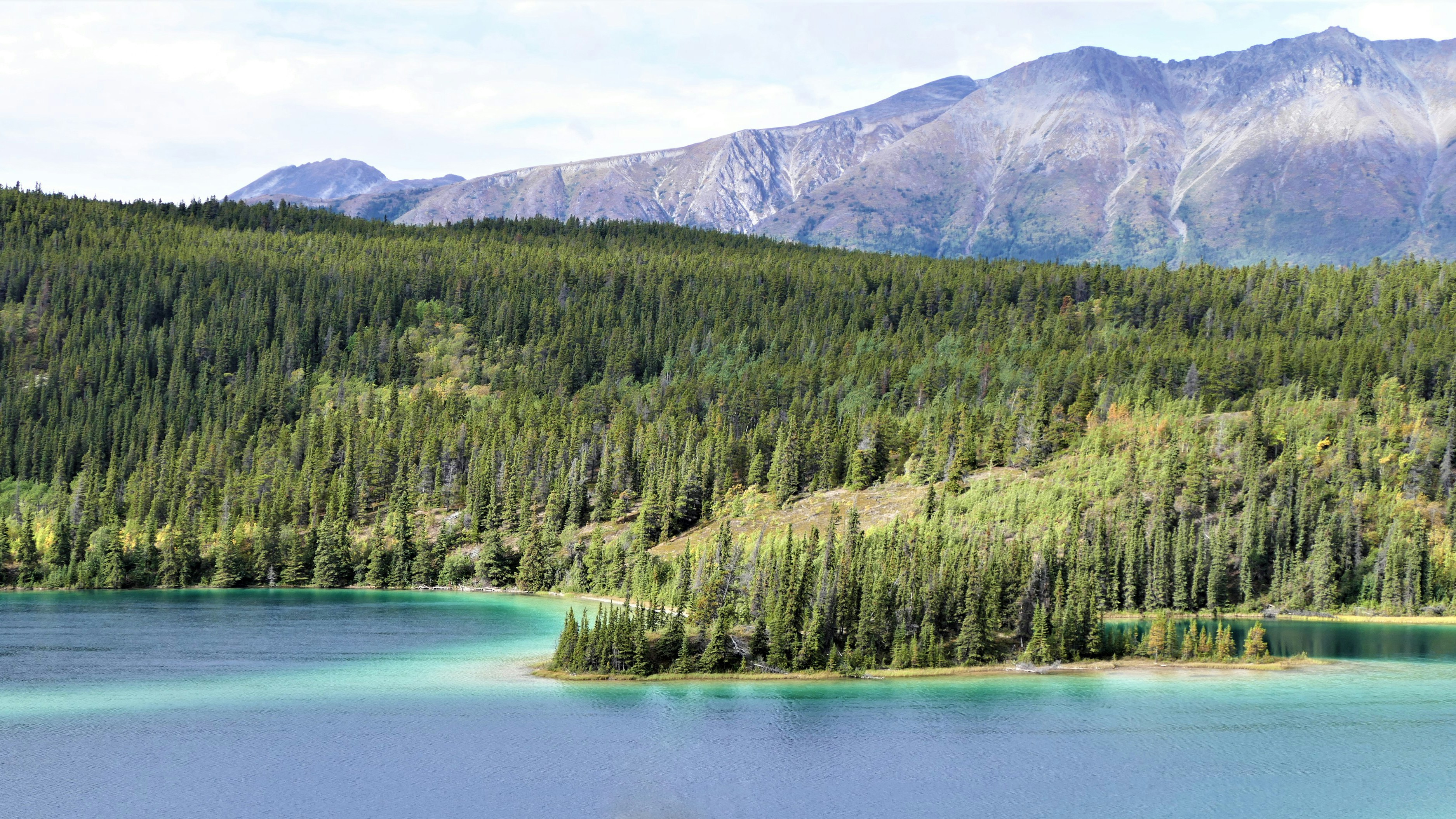 Green trees near lake during daytime photo – Free Yukon Image on Unsplash