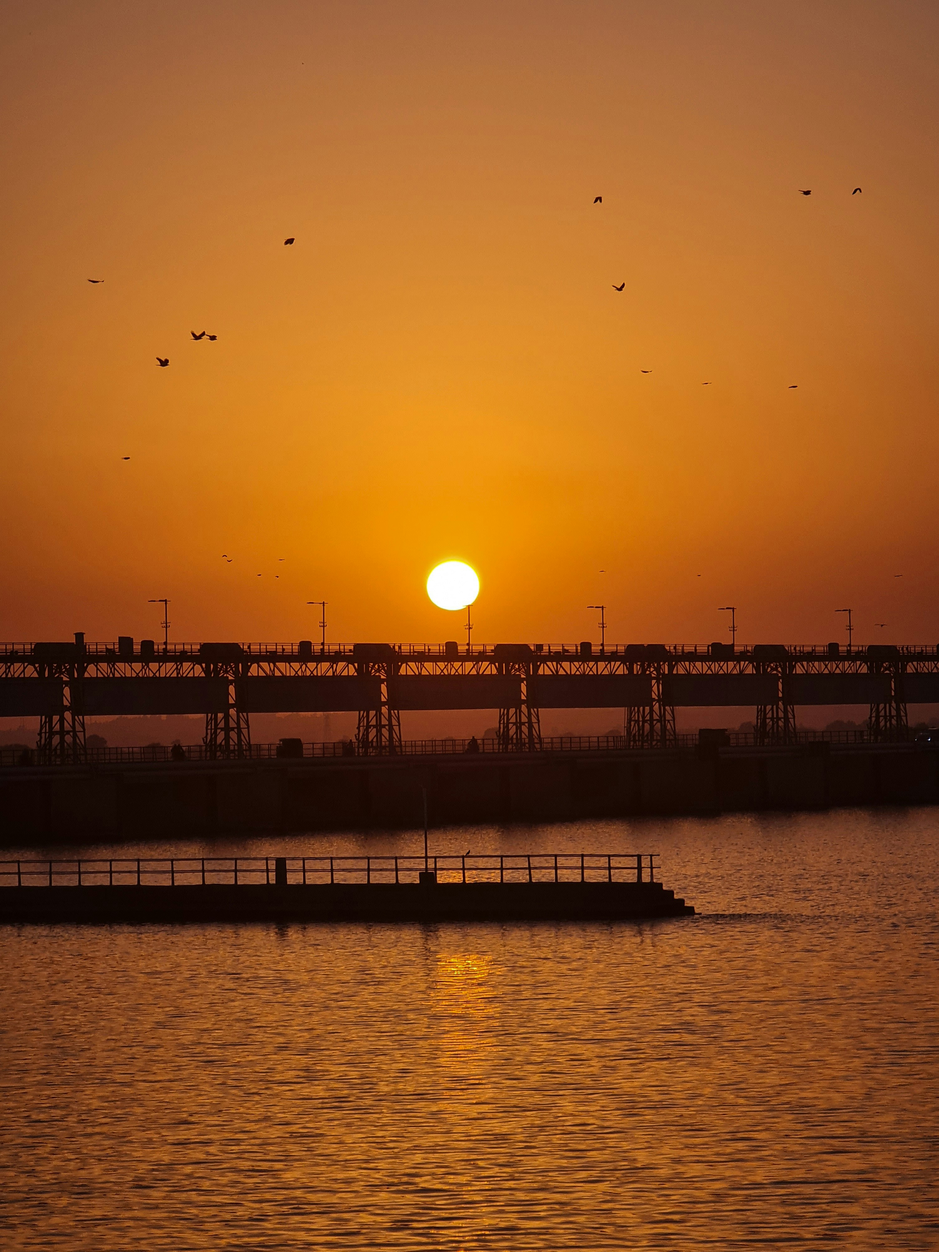 Sunfall over a Steel Pier: A Quiet Horizon of Rails and Birds