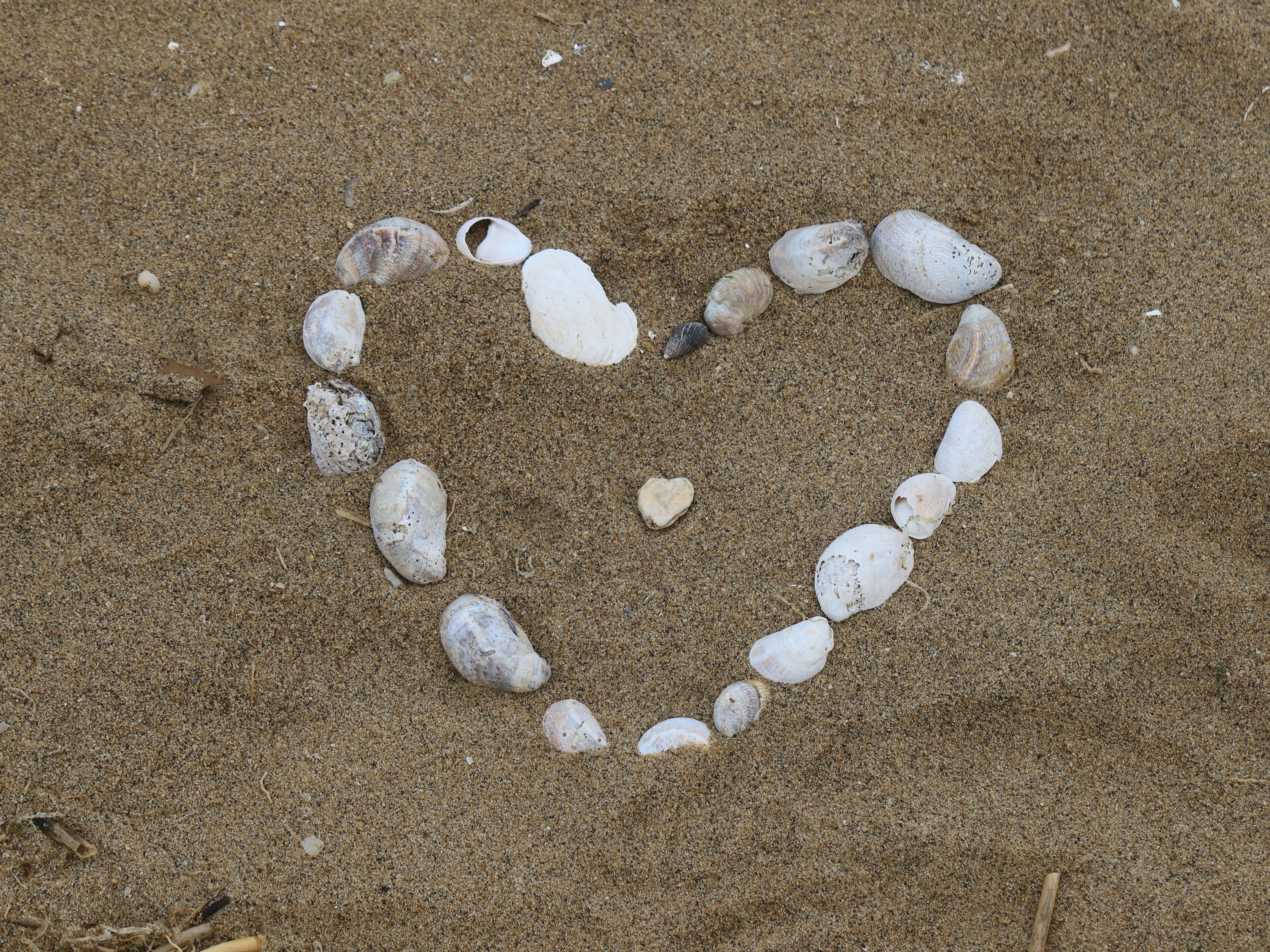 Heart-shaped arrangement of seashells on sandy beach, featuring a smaller shell at the center. A unique expression of love crafted from natural elements.