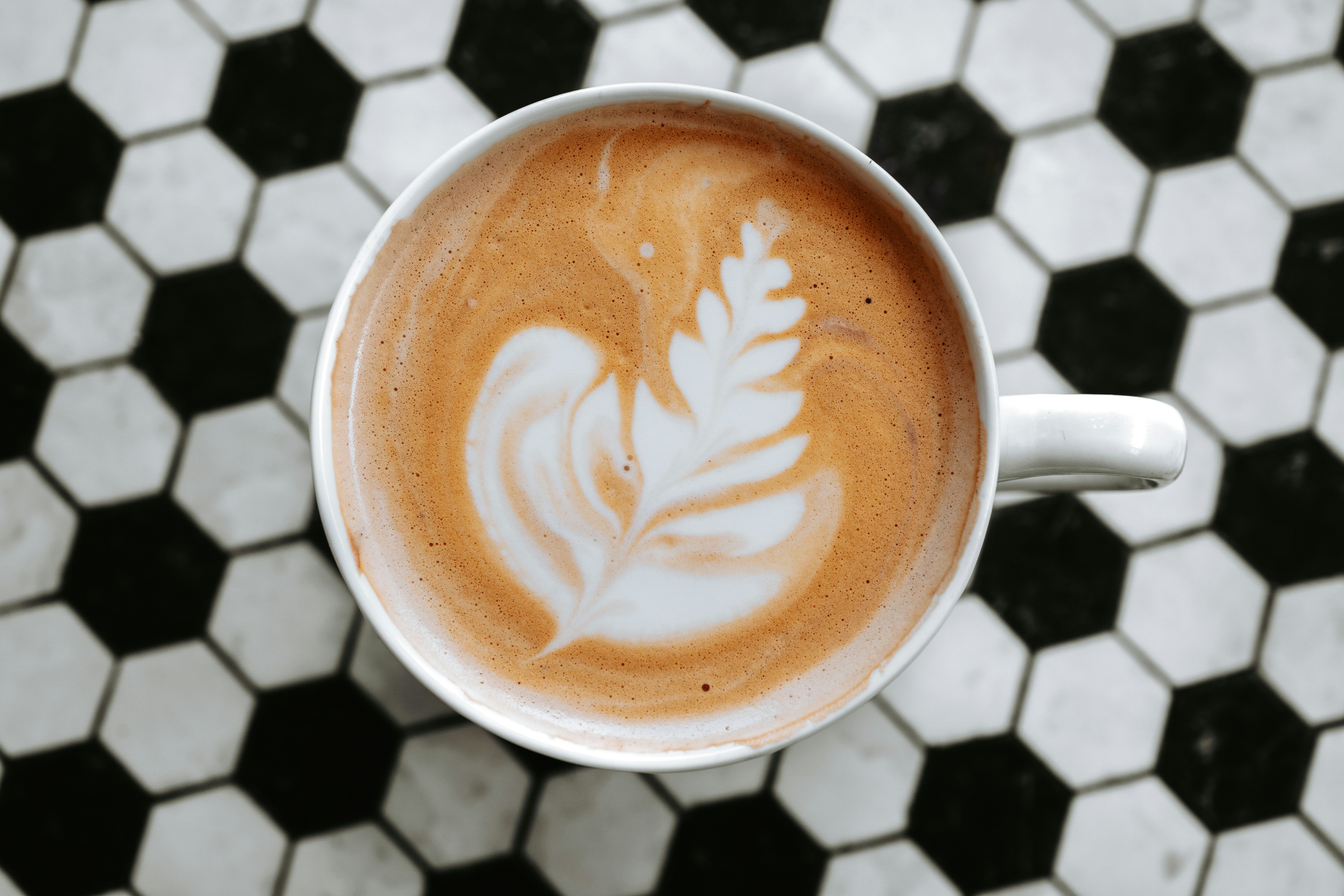 Latte Leaf on a Checkered Hex Tile Stage