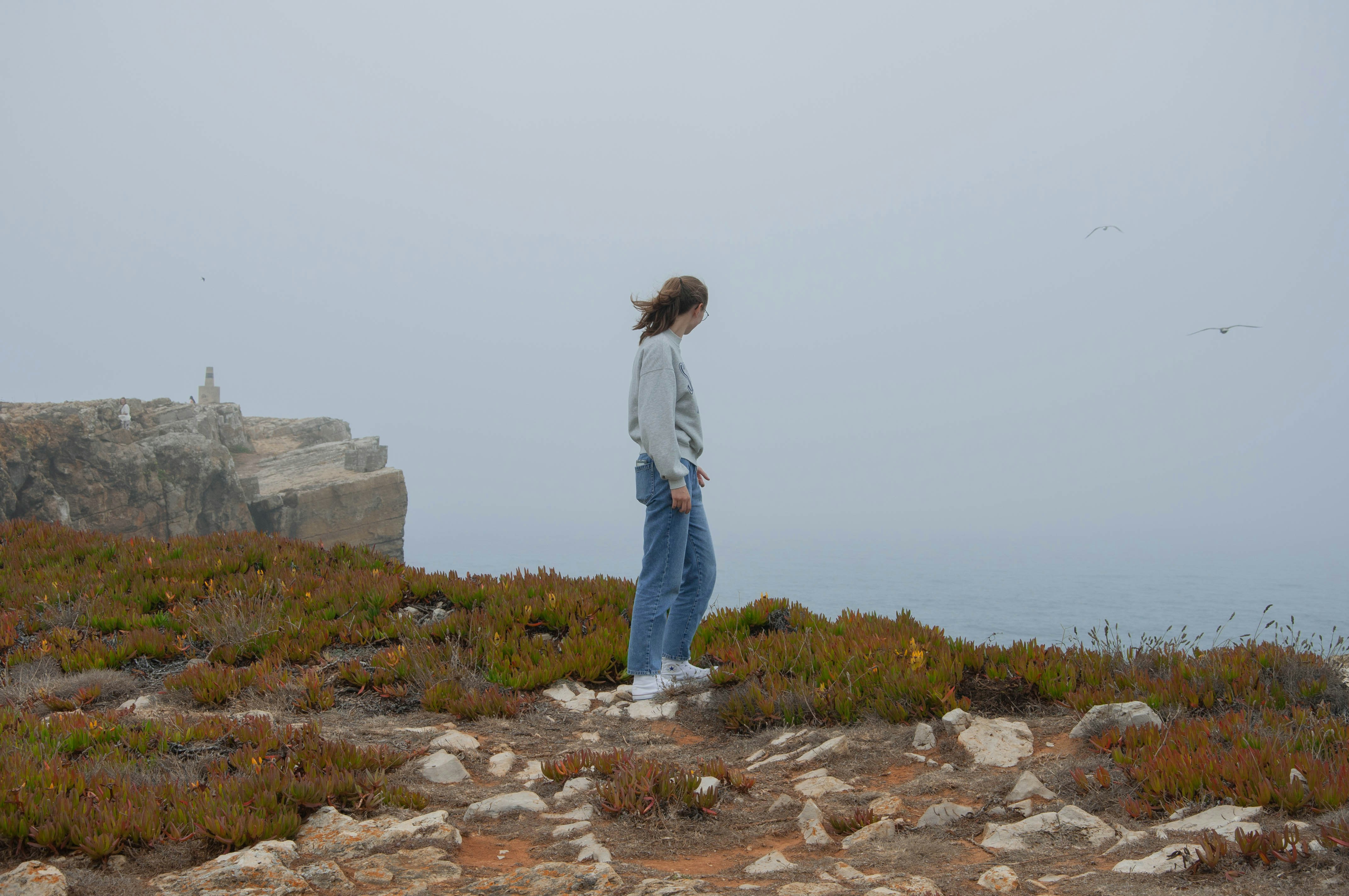 Horizon Walk: A lone traveler on windswept coastal terrain