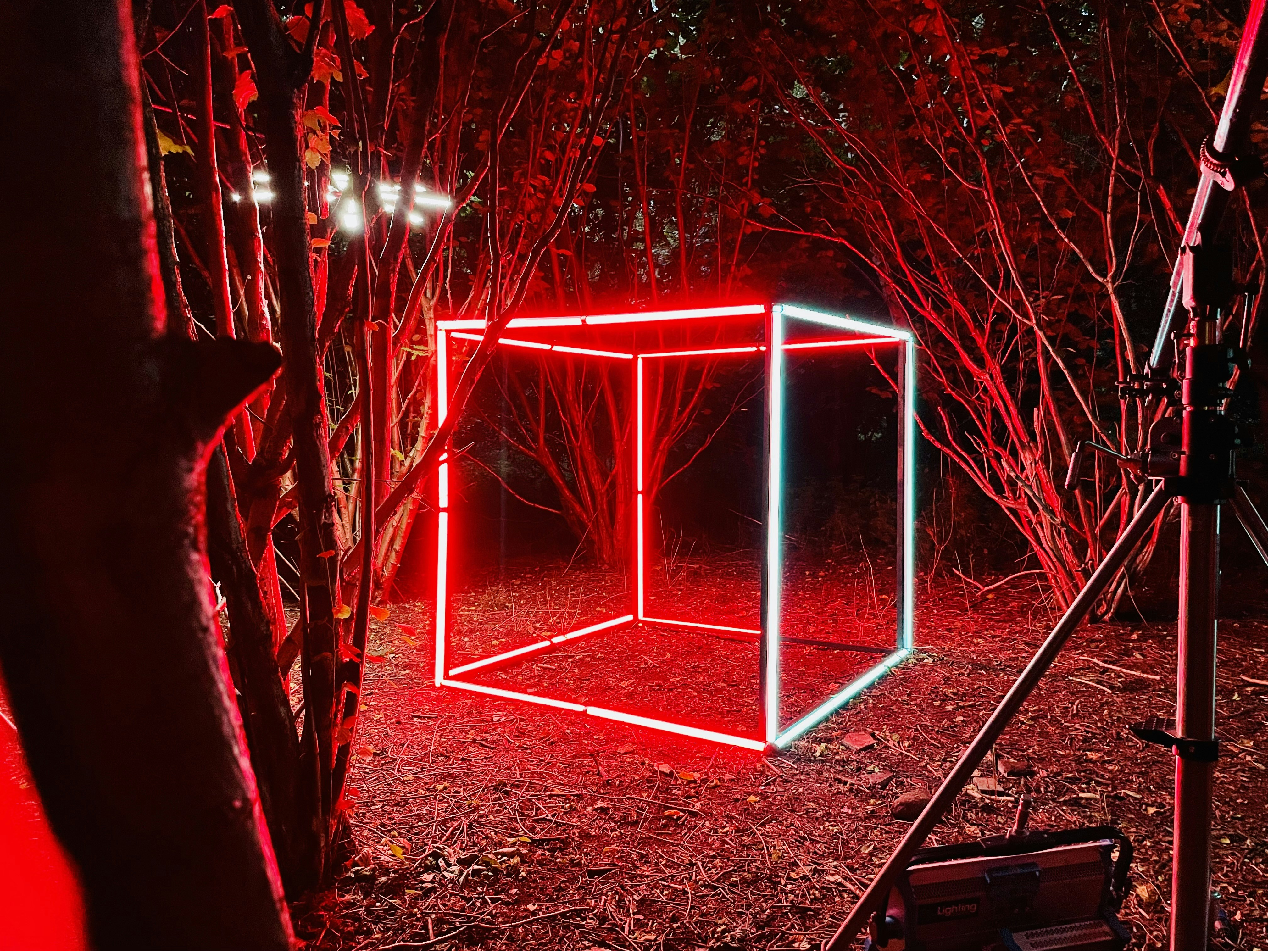 Red string lights on trees photo – Free Red Image on Unsplash