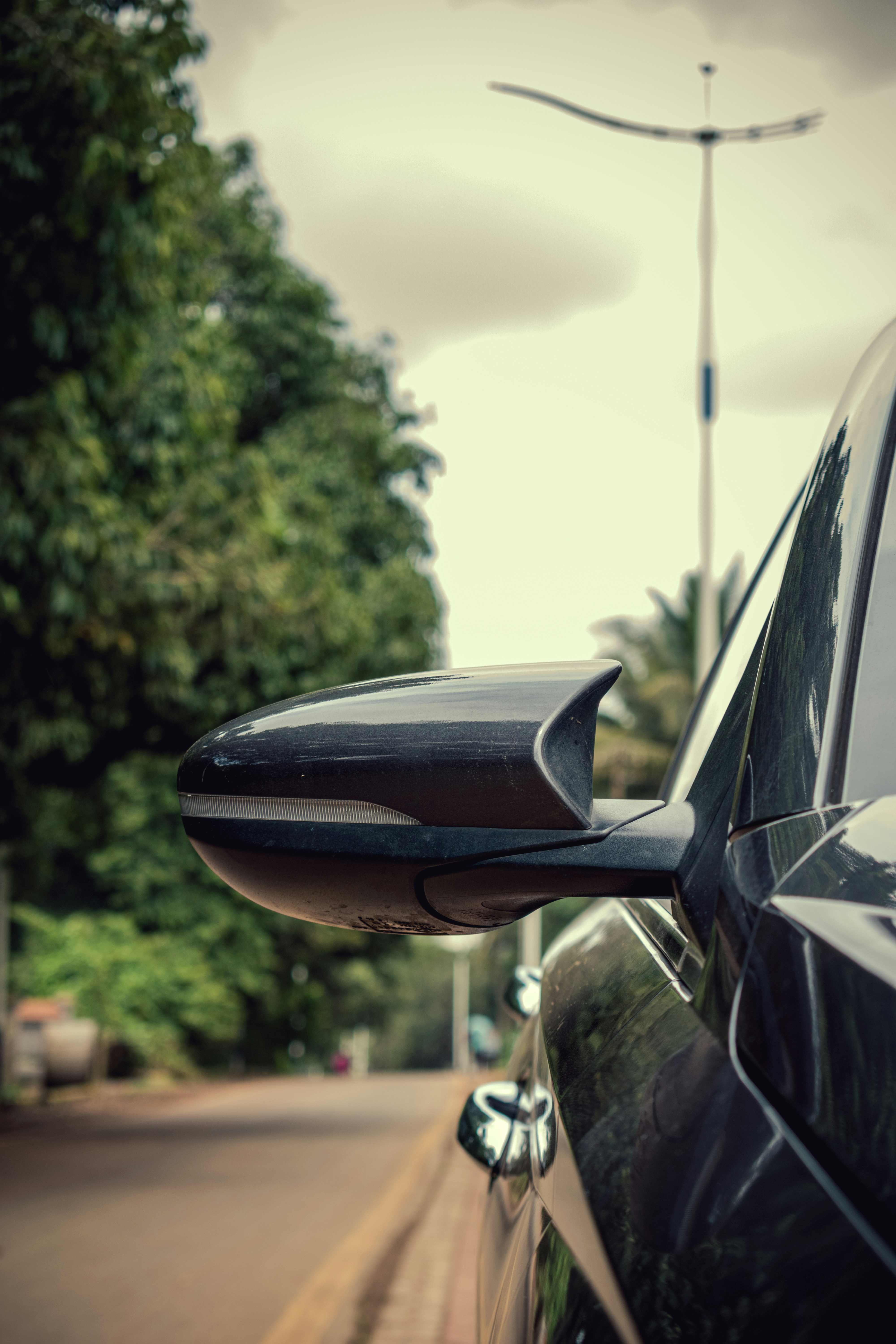 Edge of Reflection: Close-Up of a Car Side Mirror on a Tree-Lined Street