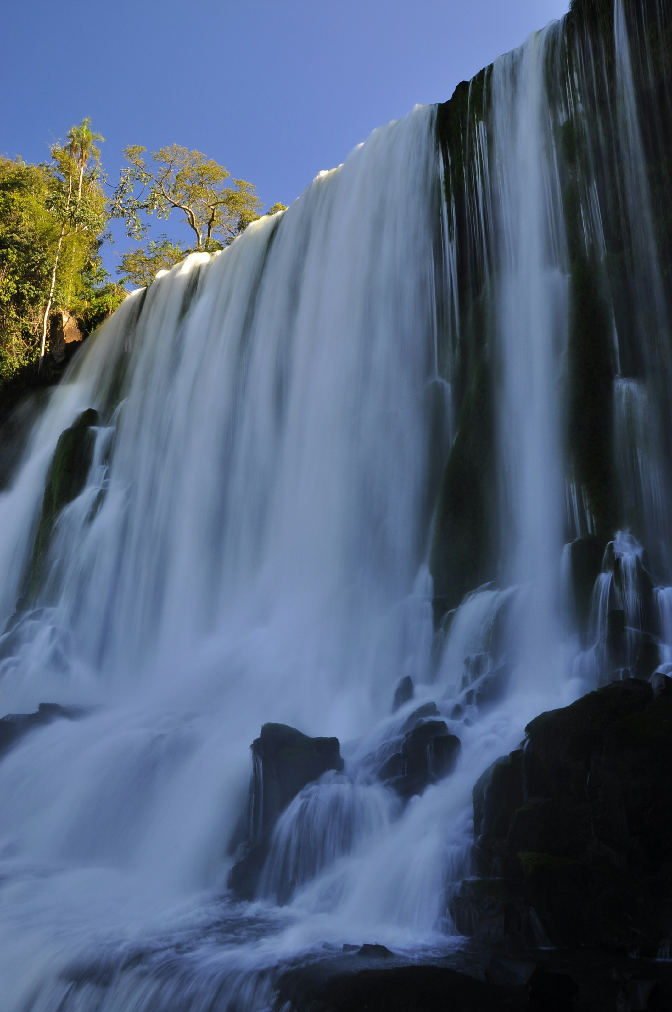 Cascade Crown: Sunlit Trees Frame a Thundering Curtain