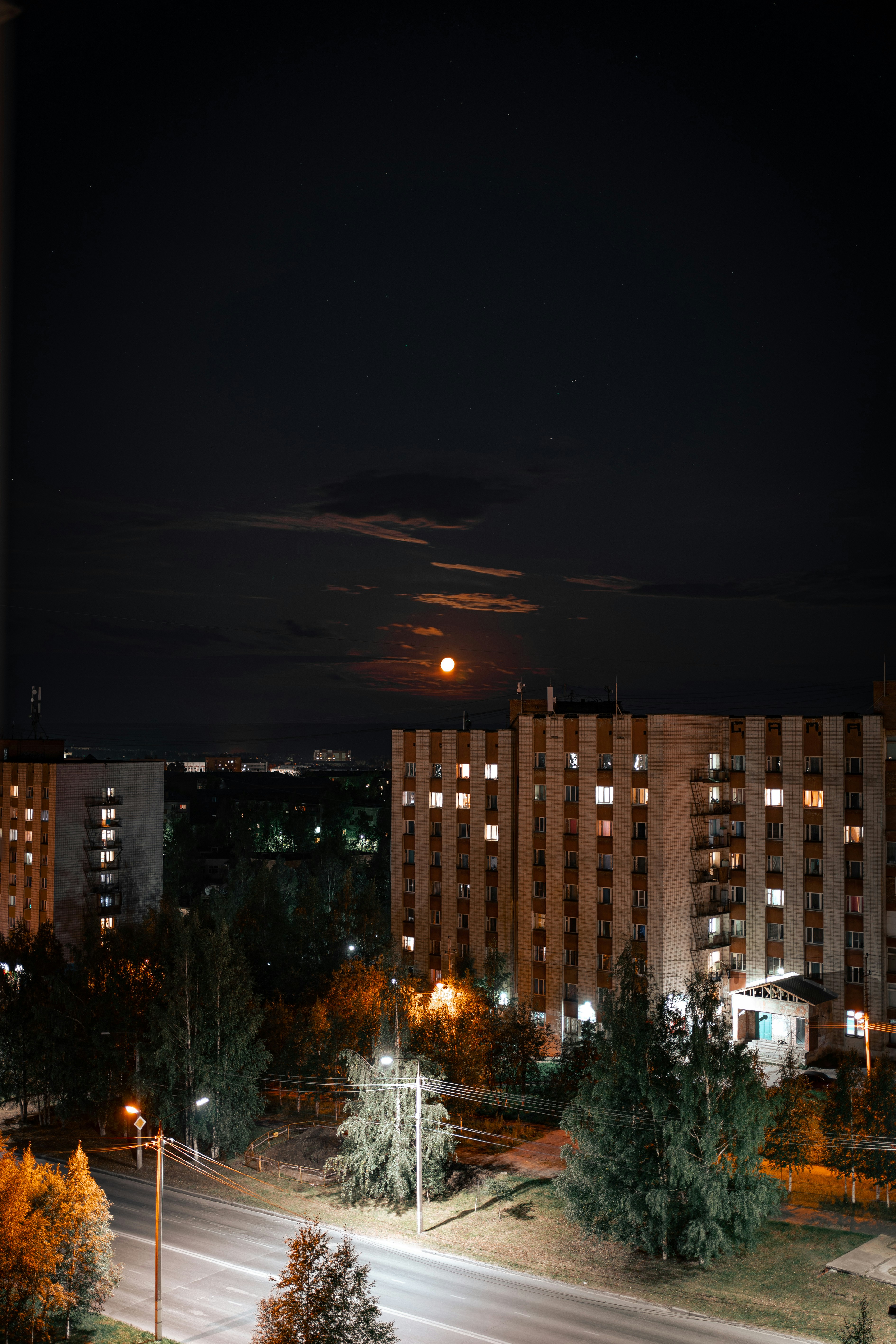 green trees near high rise building during night time