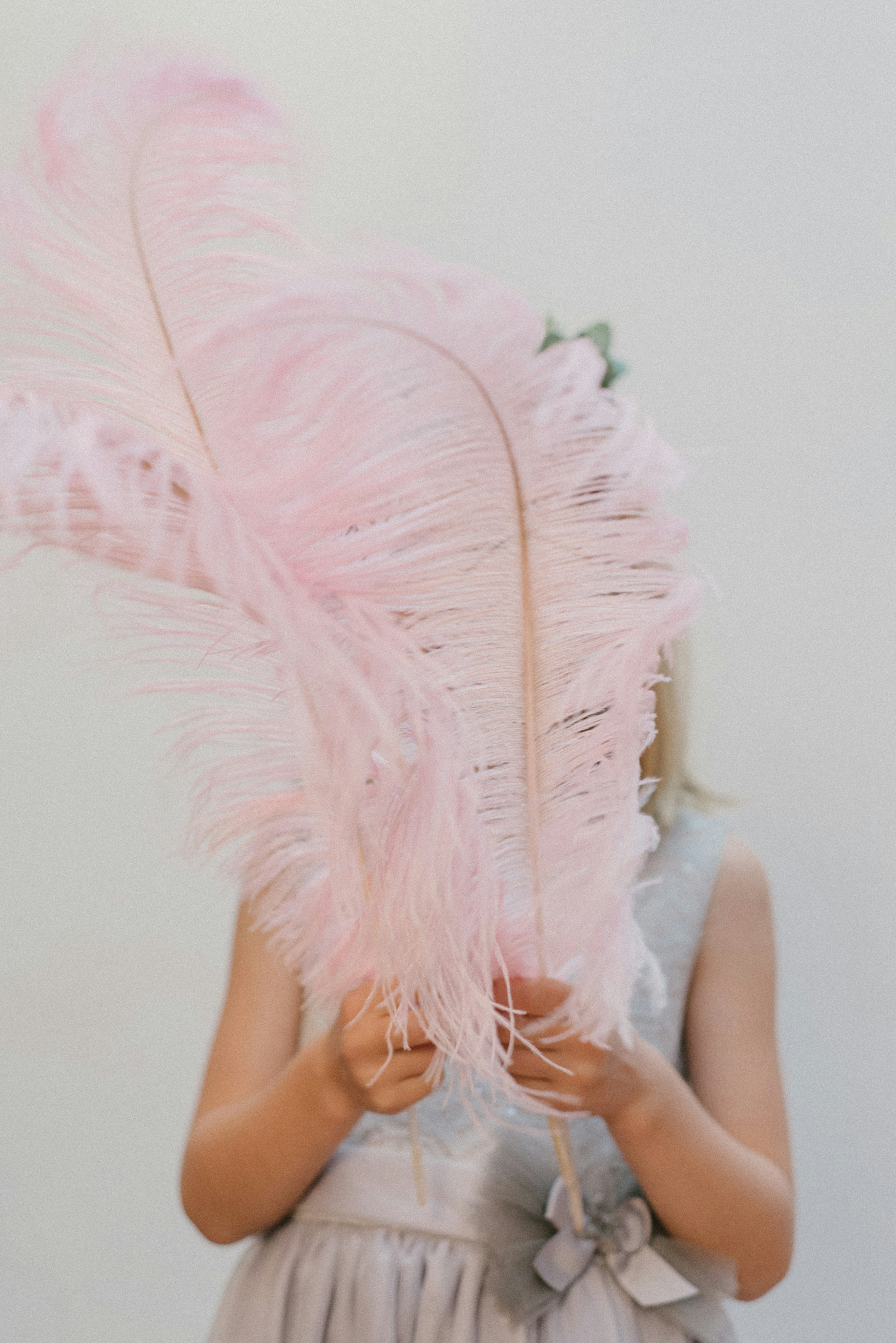 Soft Feathers, Soft Focus: A Child in a Pale Gray Dress Veiled by Pink Plumes