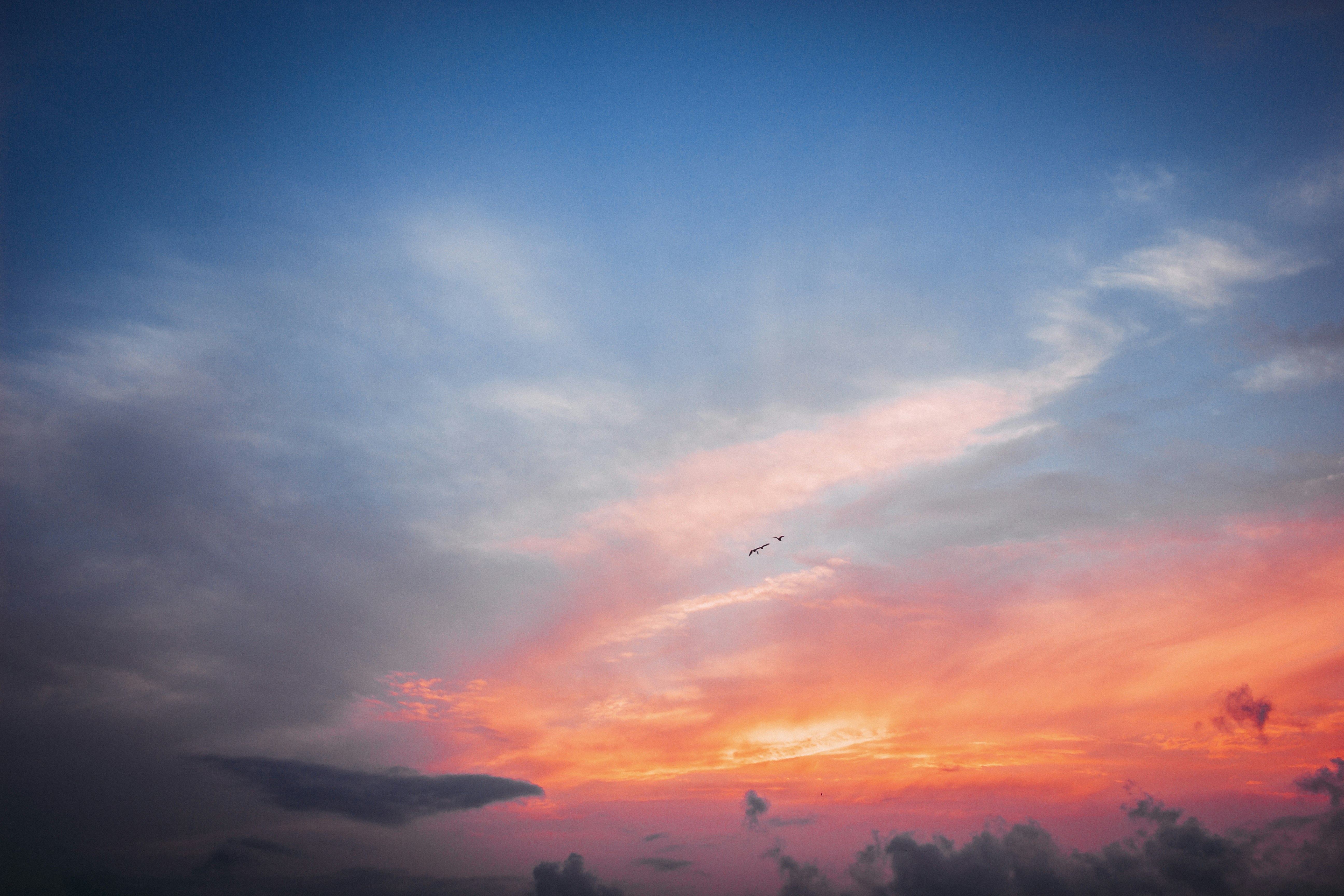 Crescent of Dusk: A Quiet Sky Pierced by a Single Flight