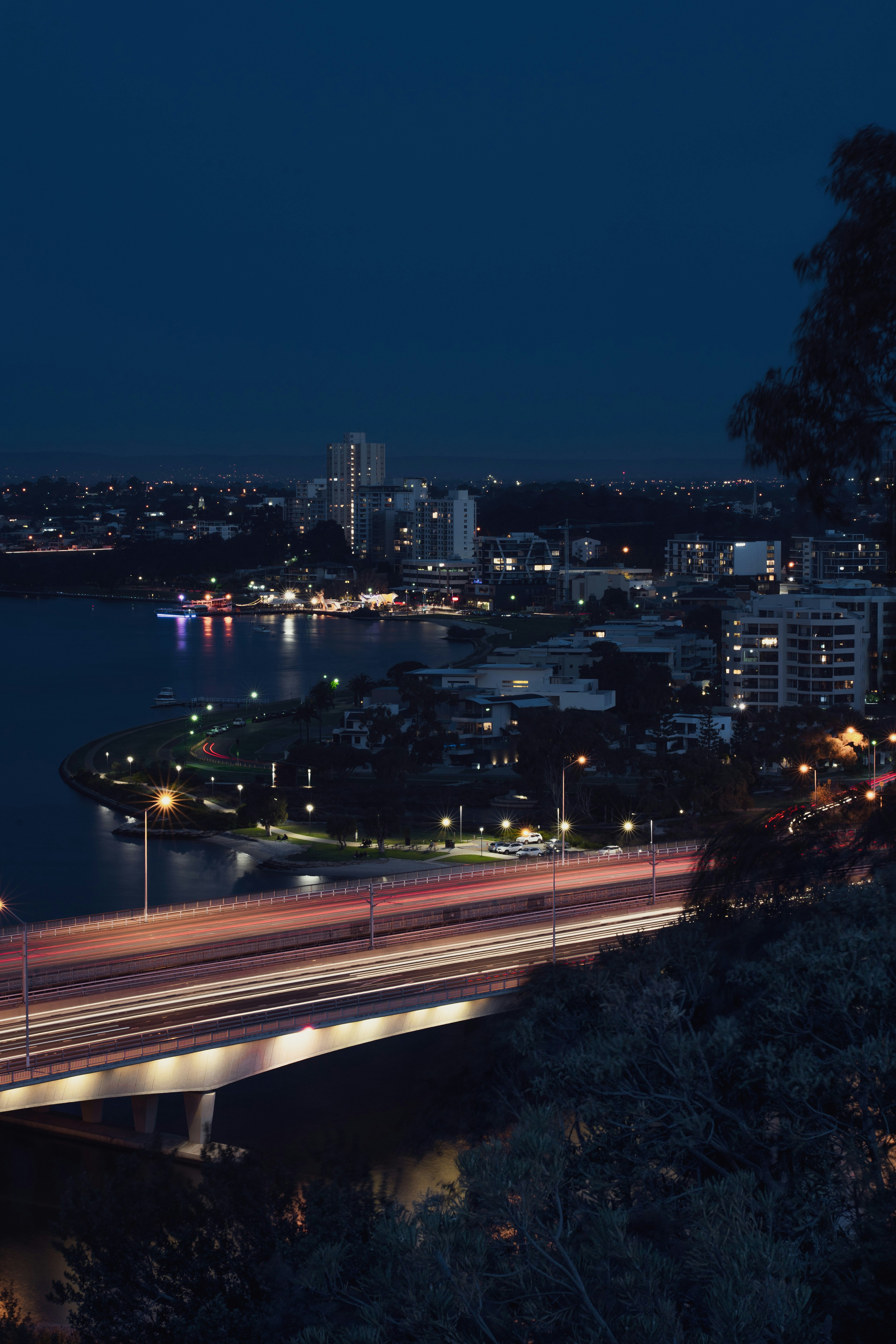 Moonlit Waterfront Bridge: Neon Light Trails Across the Curved Highway