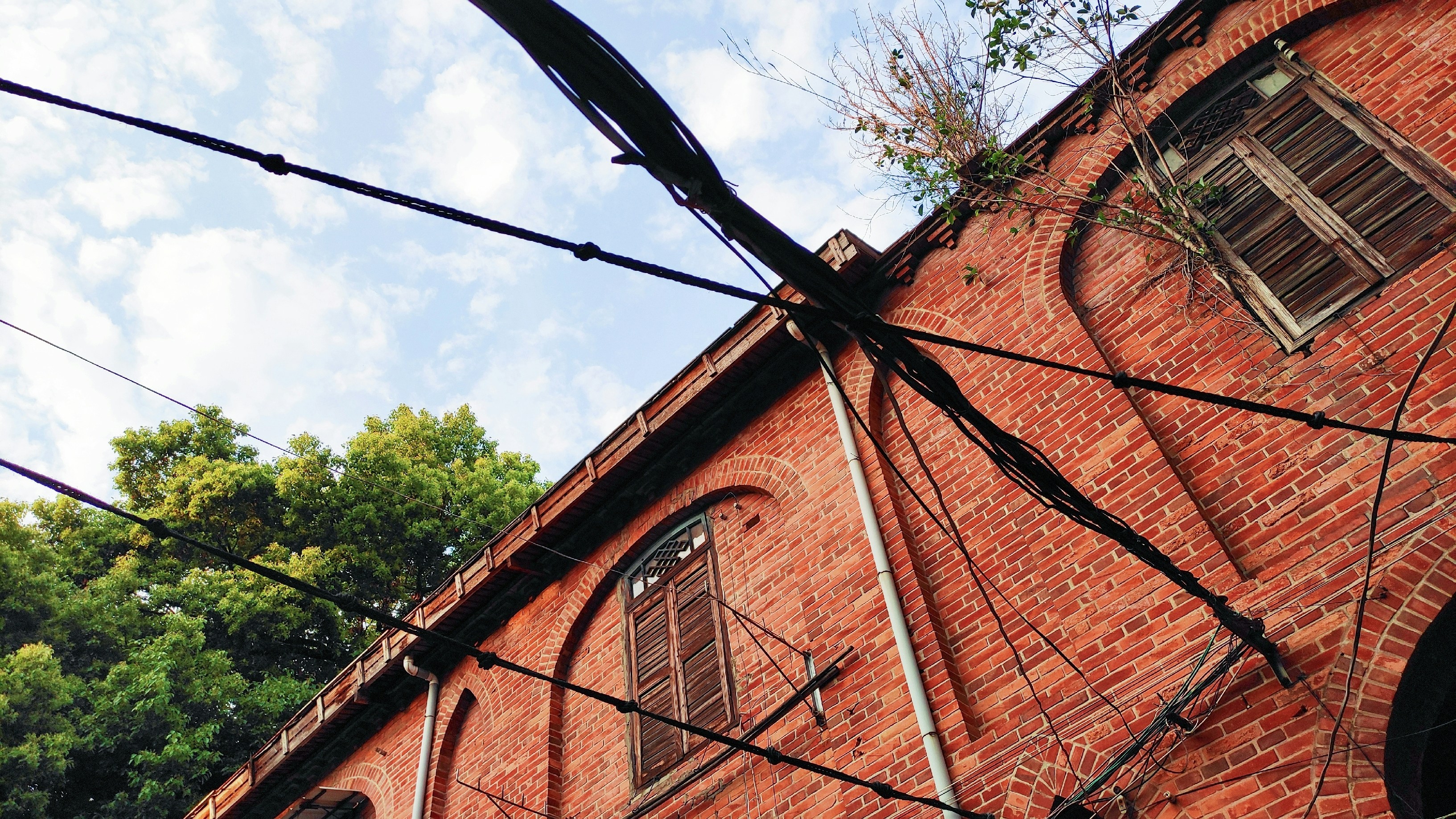 Brick Archways Under Electric Tangles