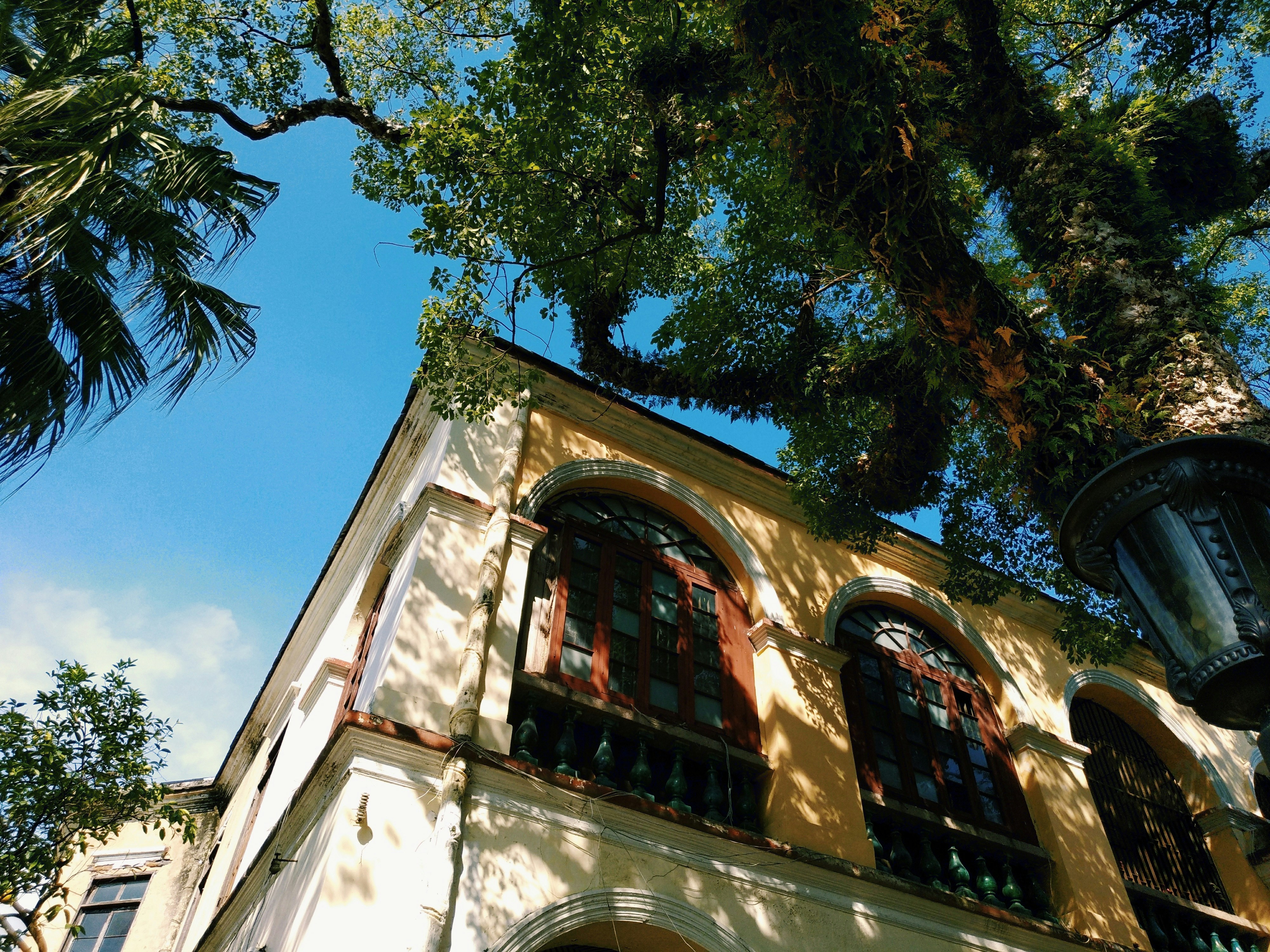 Historic building framed by lush foliage and dappled sunlight, showcasing architectural details and vibrant greenery.