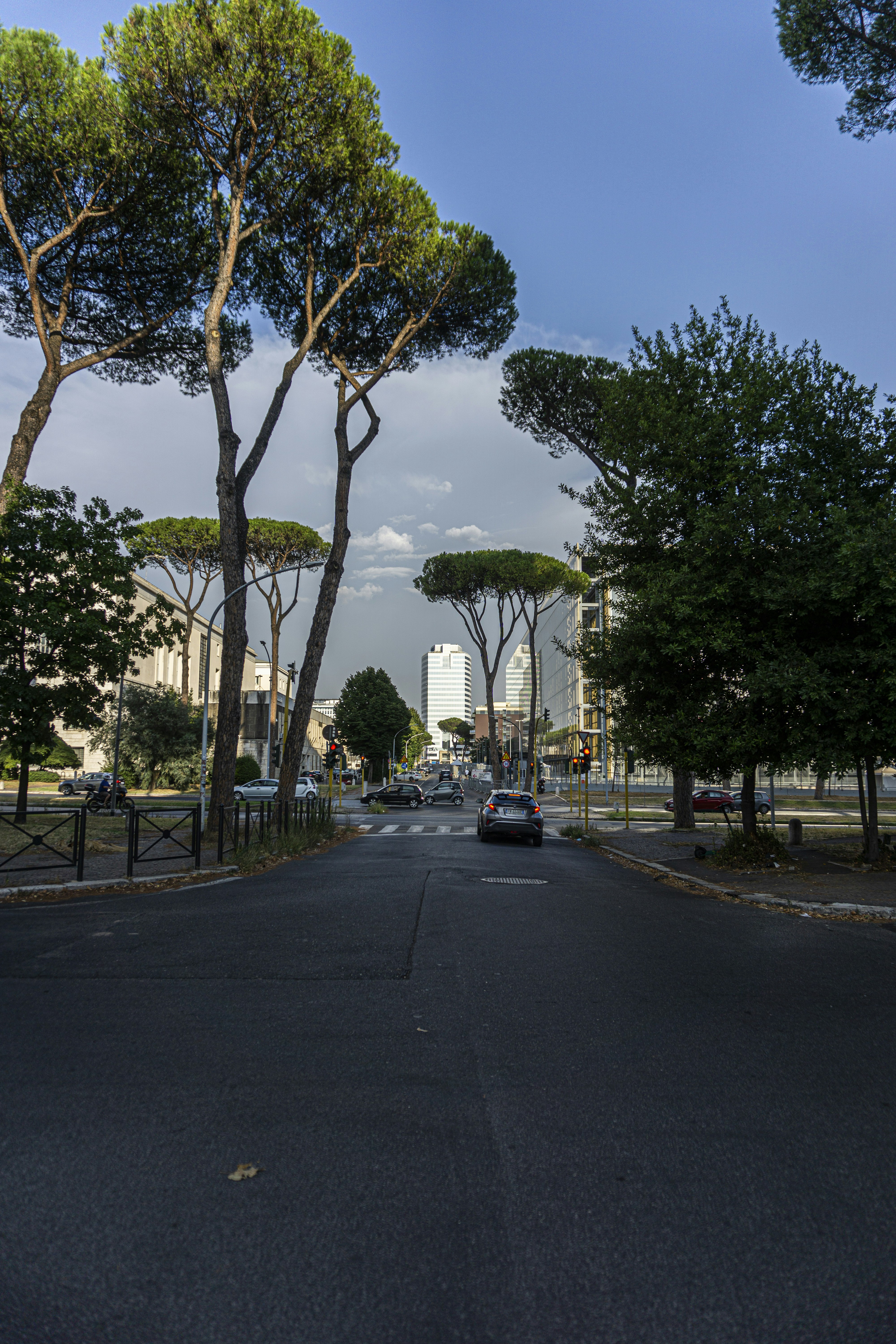 black car on road near trees during daytime