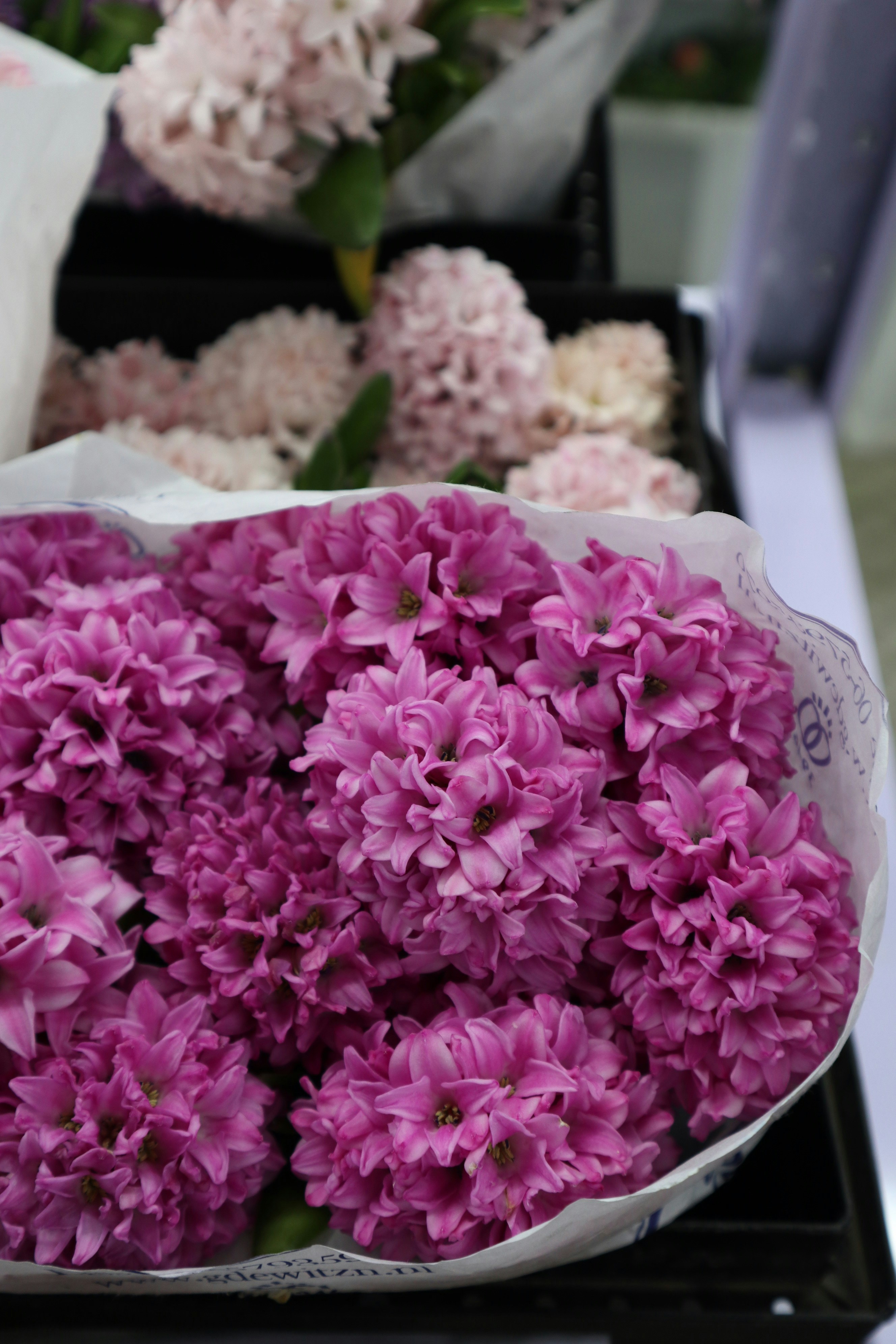 Pink Bouquet in Newspaper Wrapping at Market Stand