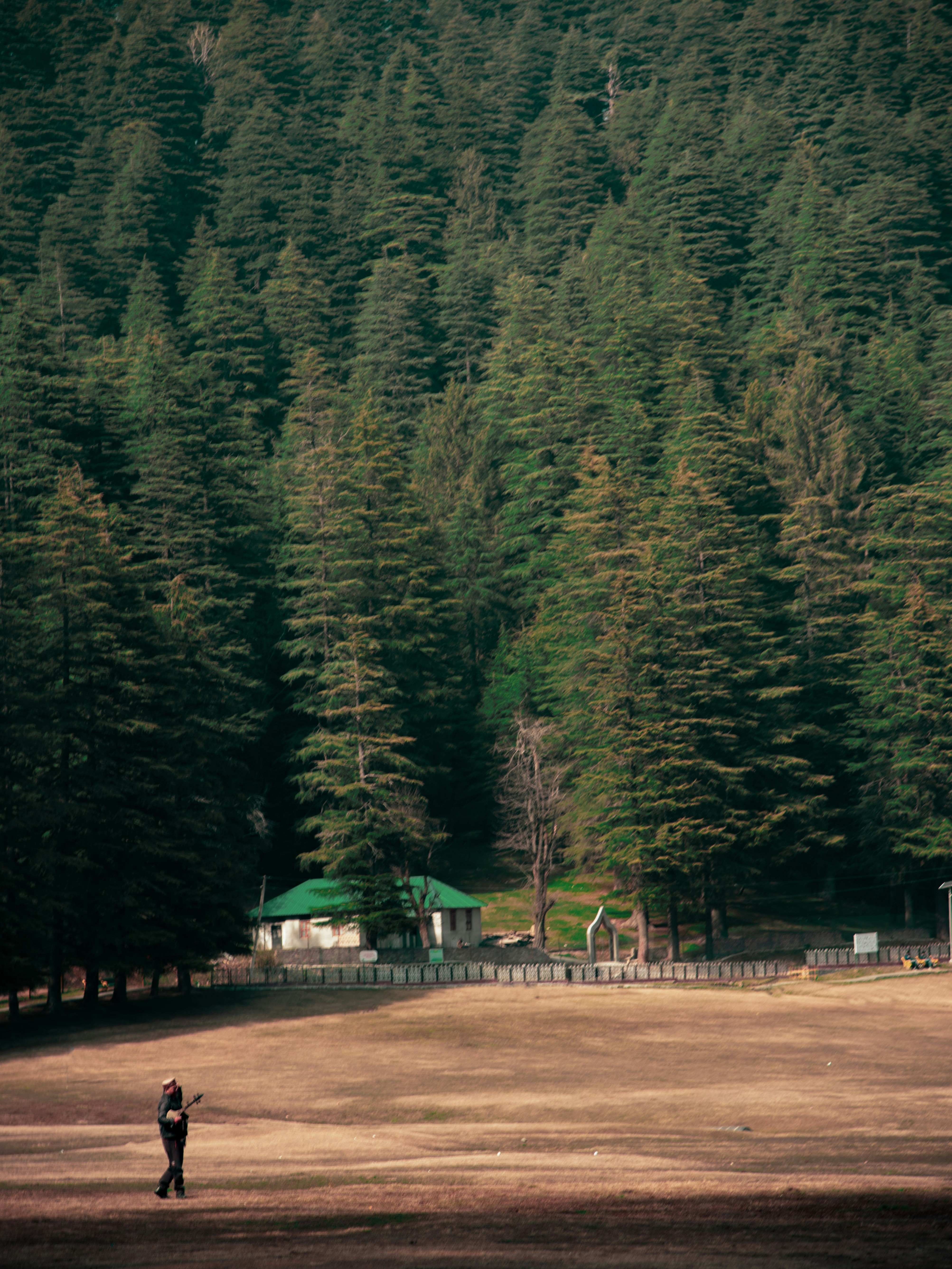 Footprint on the Meadow: A Lone Hiker at the Forest's Edge