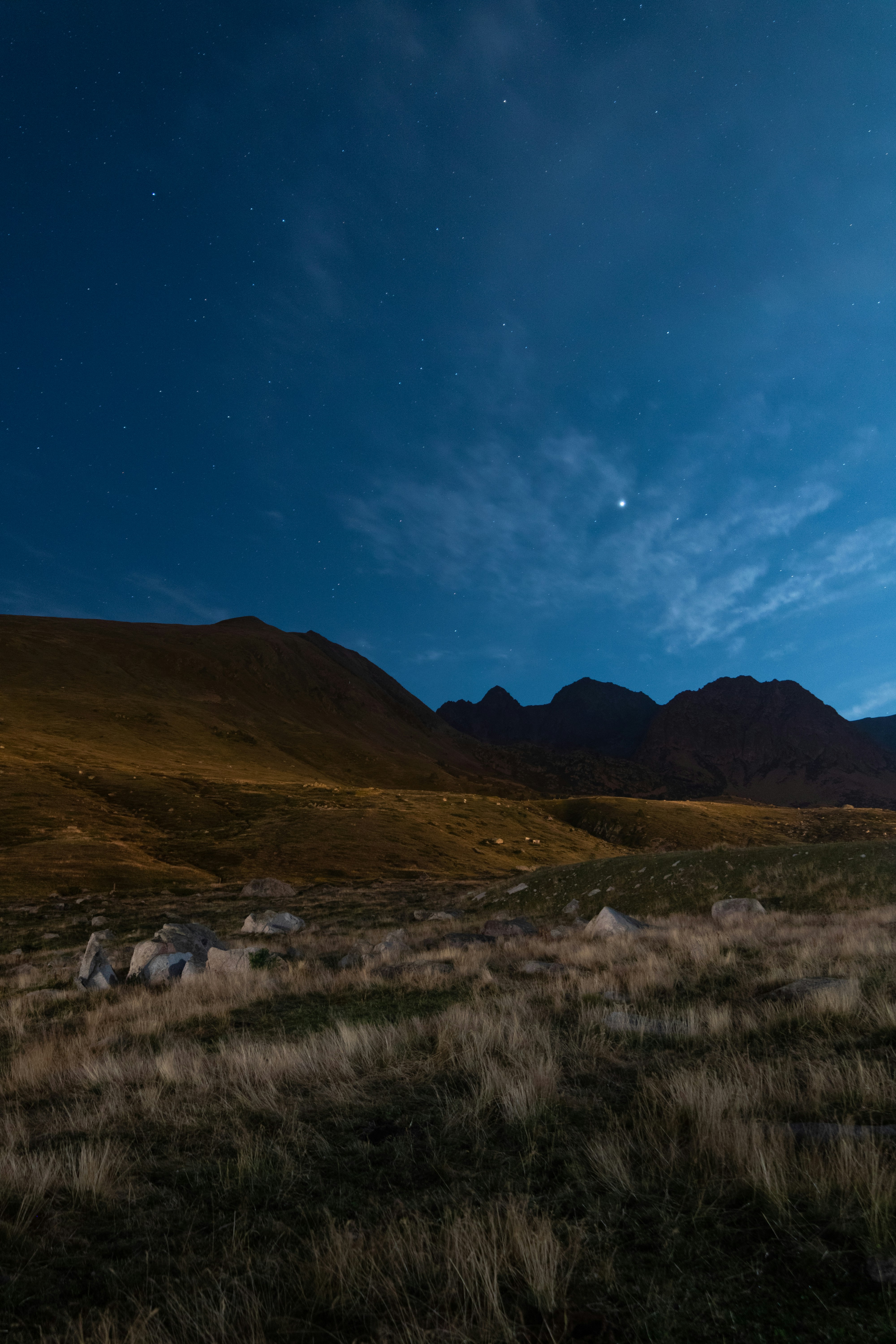Starfield Over Wind-Kissed Highlands