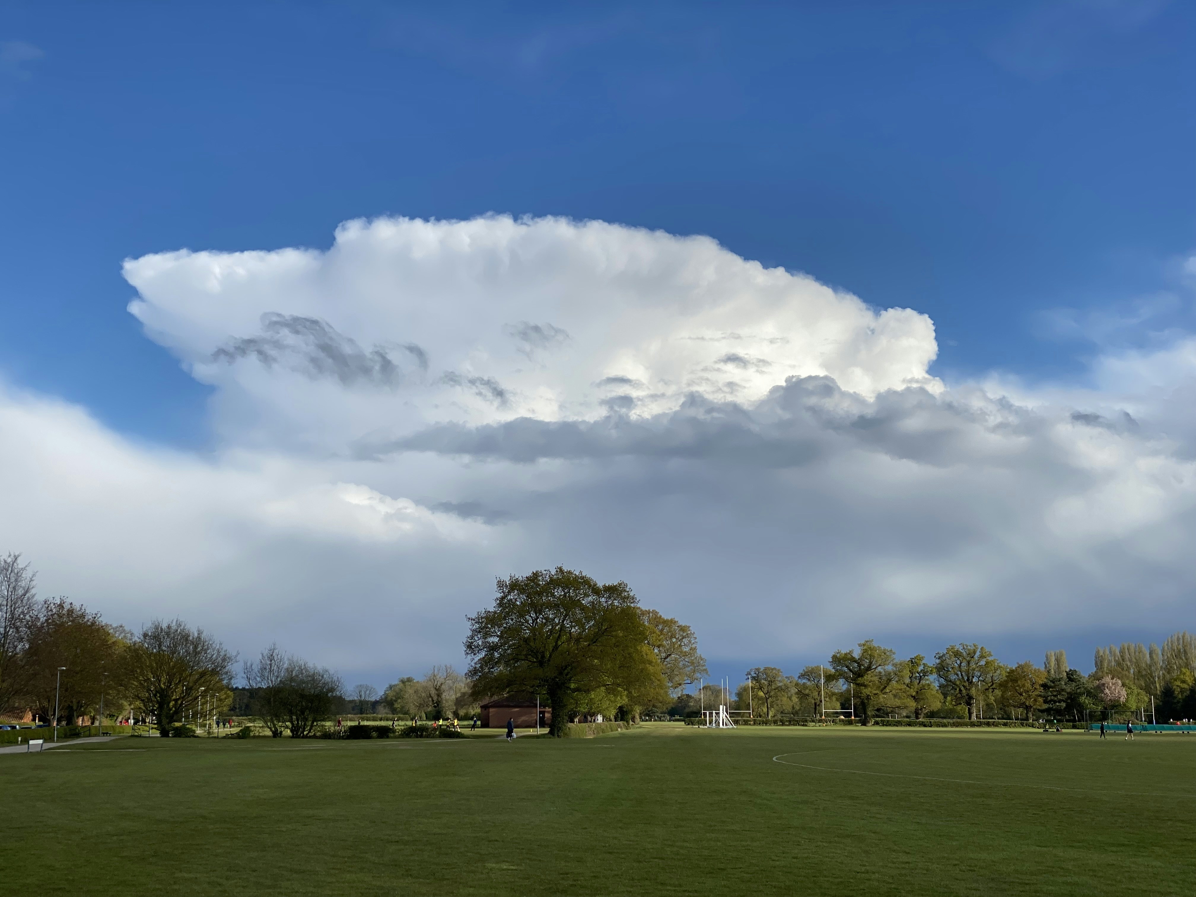 Majestic Anvil Cloud Over Verdant Field