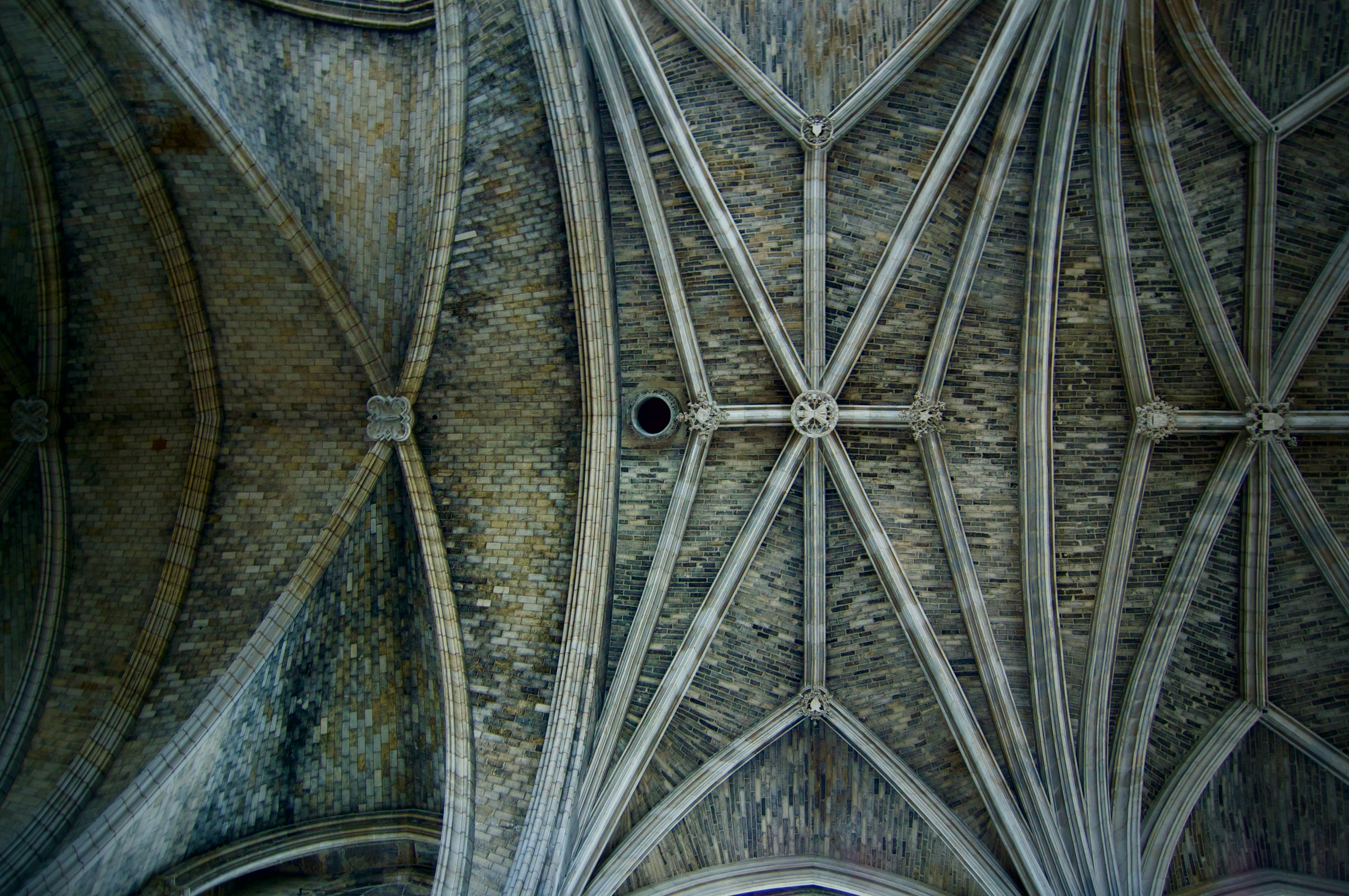 Mister Olsen (@mister_olsen) | Unsplash Photo Community