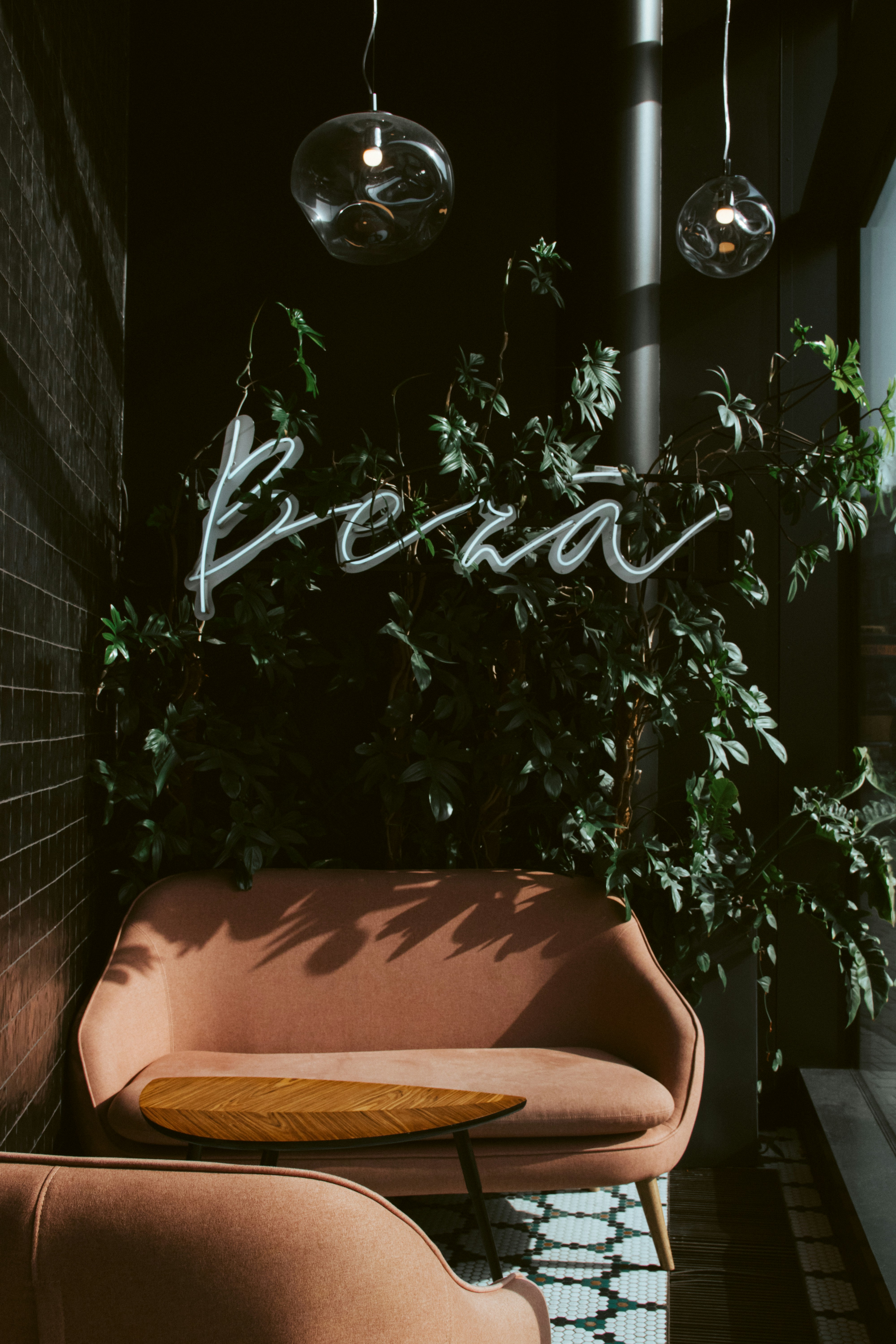 Neon Script Overgrown: a Cozy Corner in the Neon Lounge