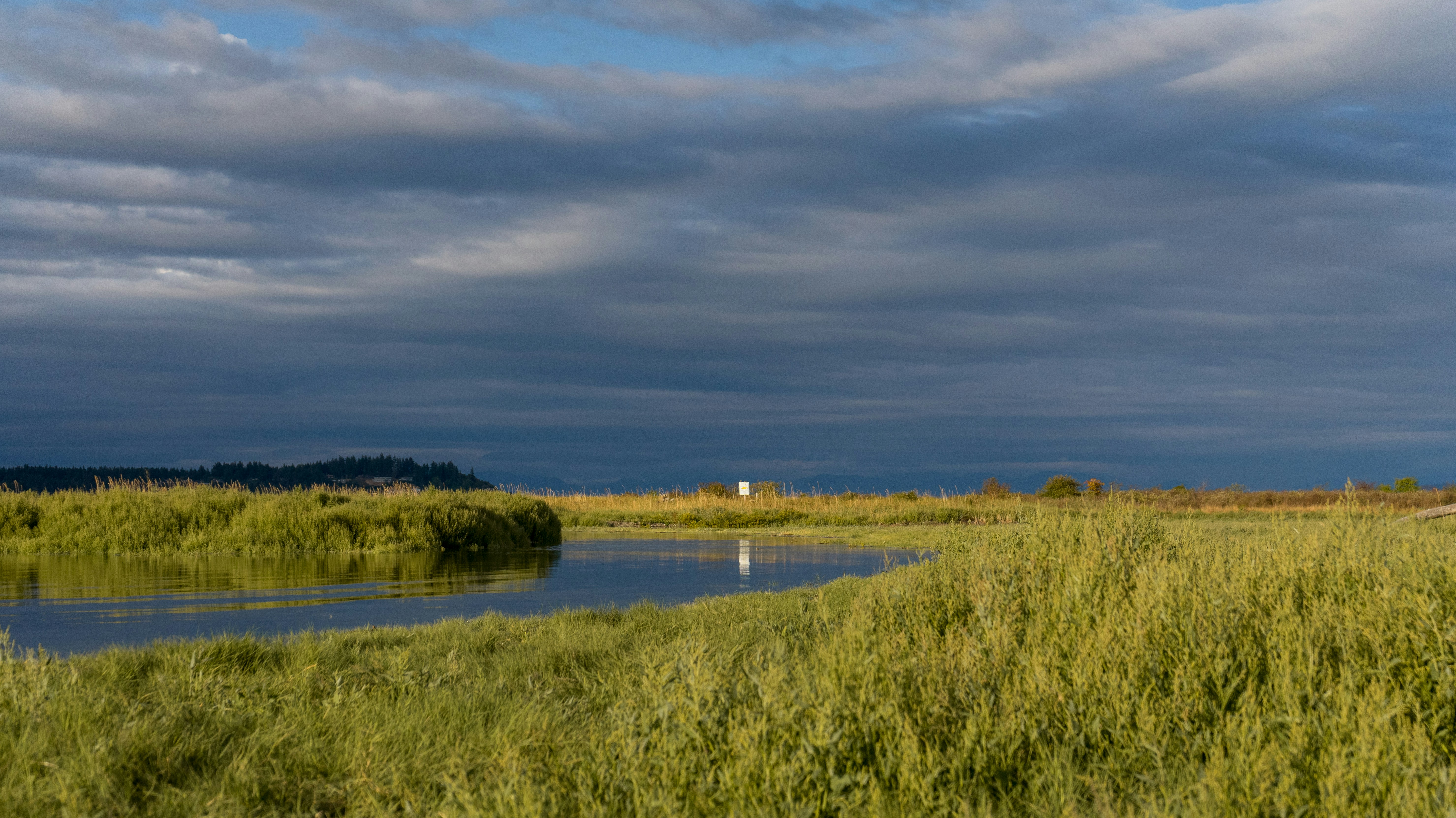 Green grass field near lake under cloudy sky during daytime photo ...