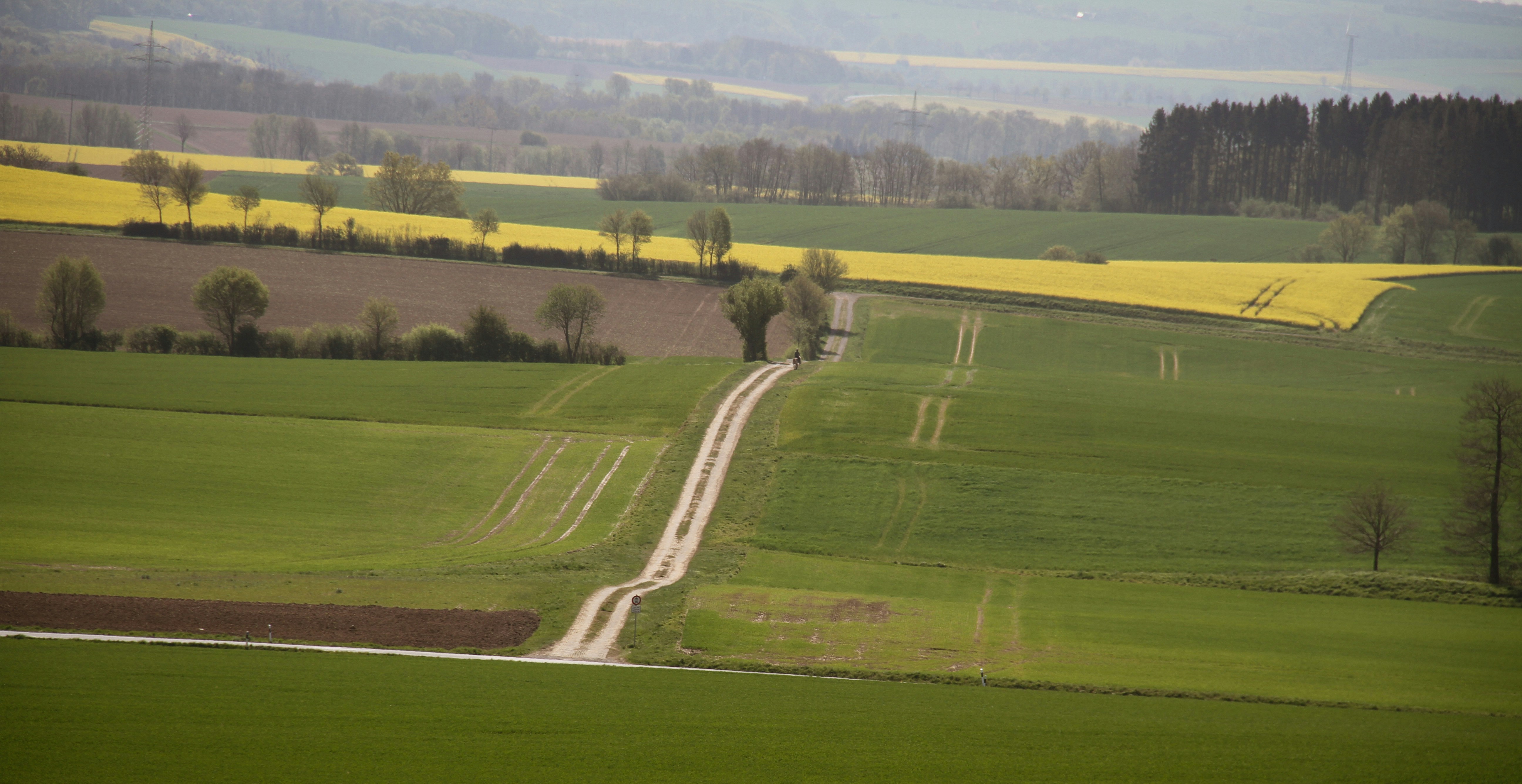 Winding dirt ribbon through a patchwork of fields toward the horizon