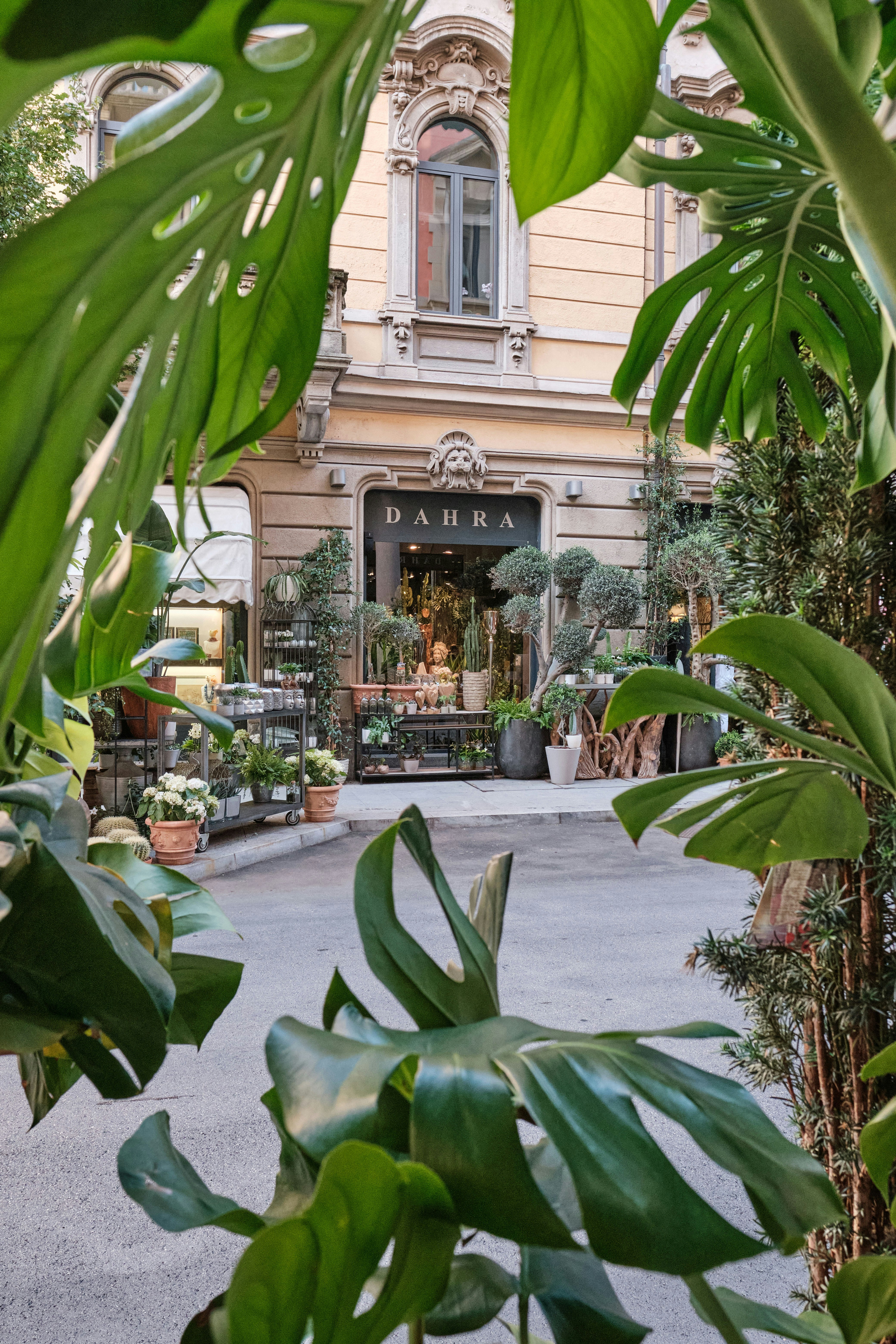 Hidden Boutique Window Framed by Tropical Corridor