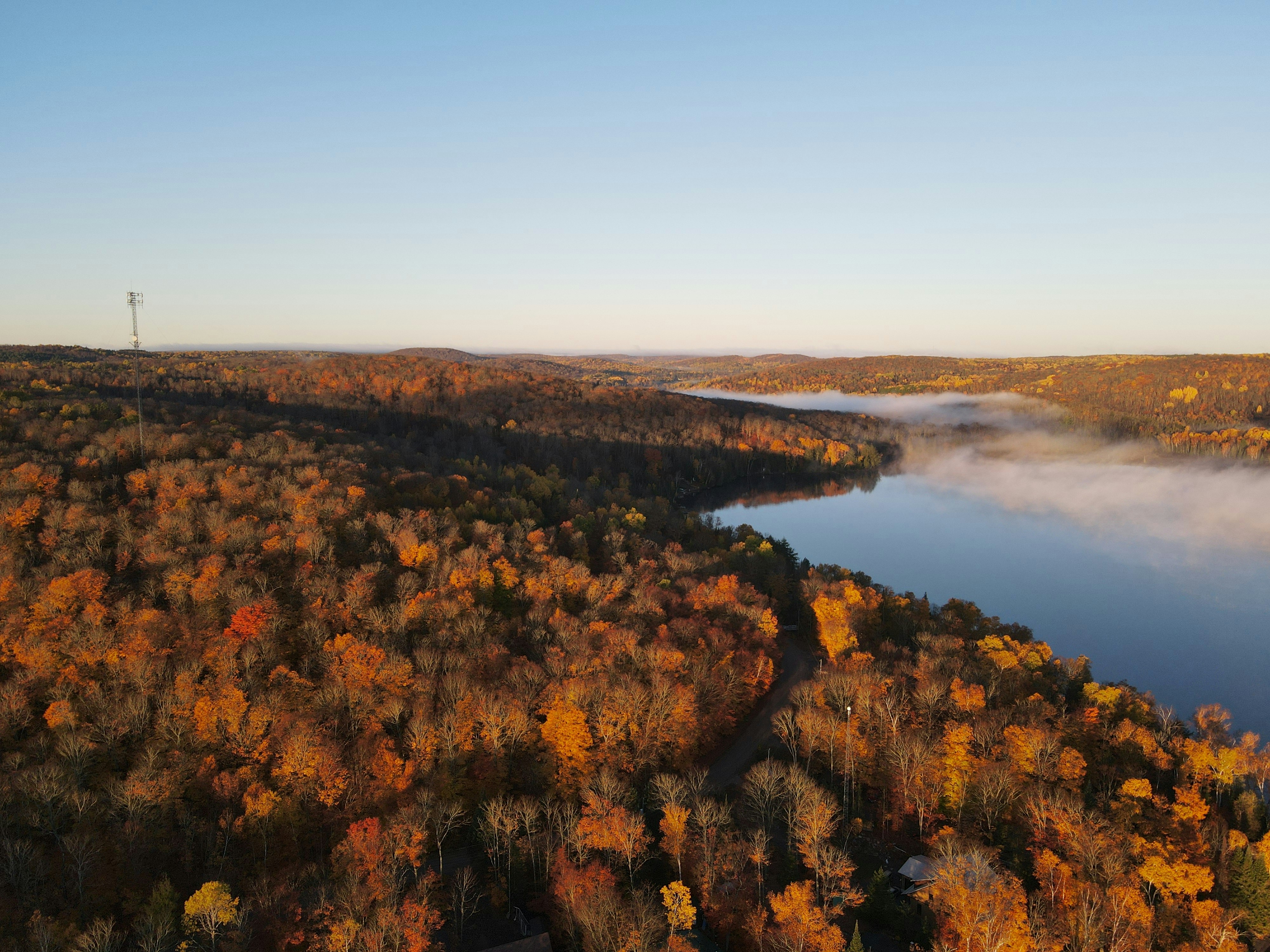 Autumn River Bend: A Veil of Mist over Golden Timber