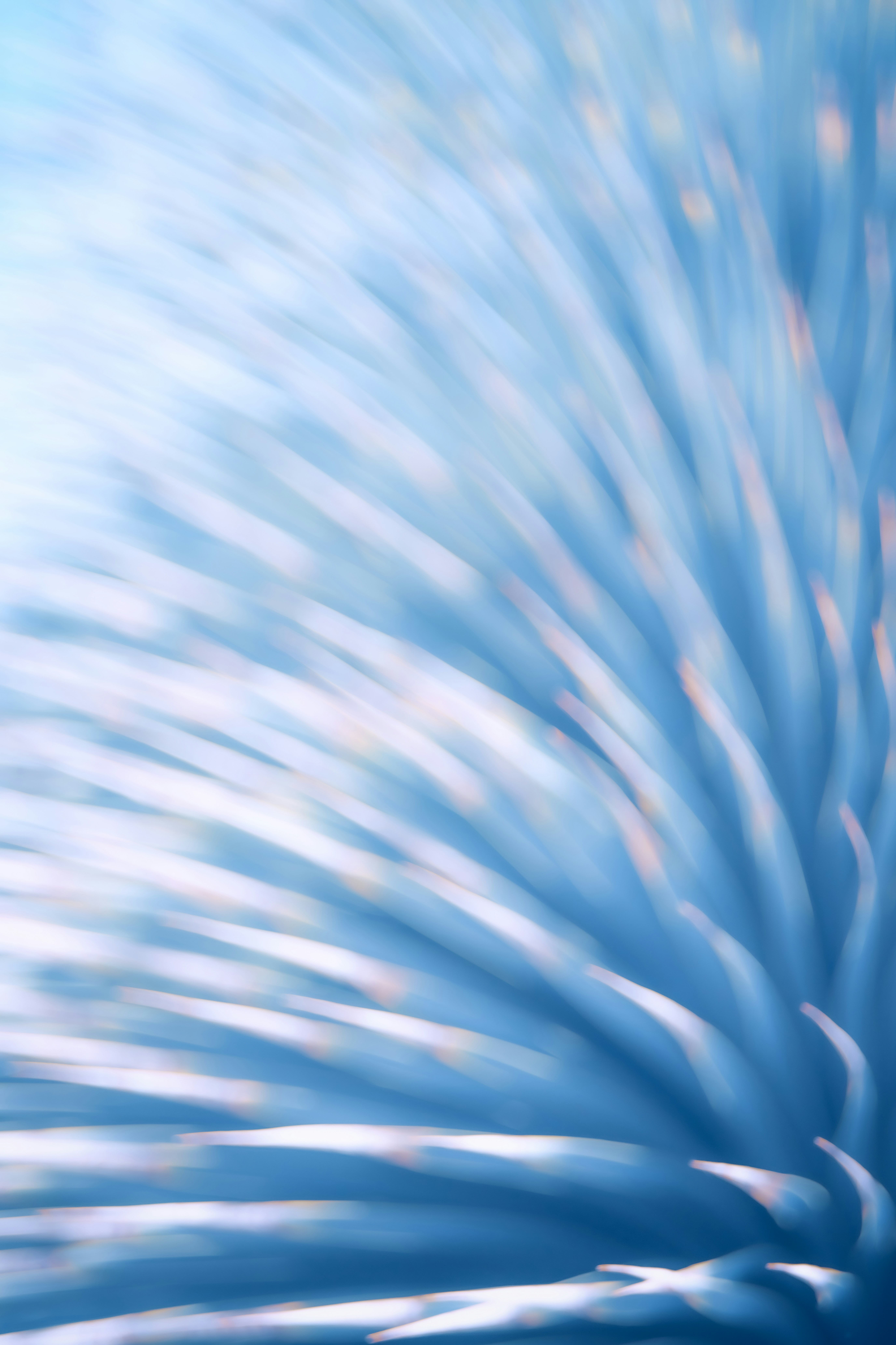 Anna Zaro (@floratropicana) | Unsplash Photo Community