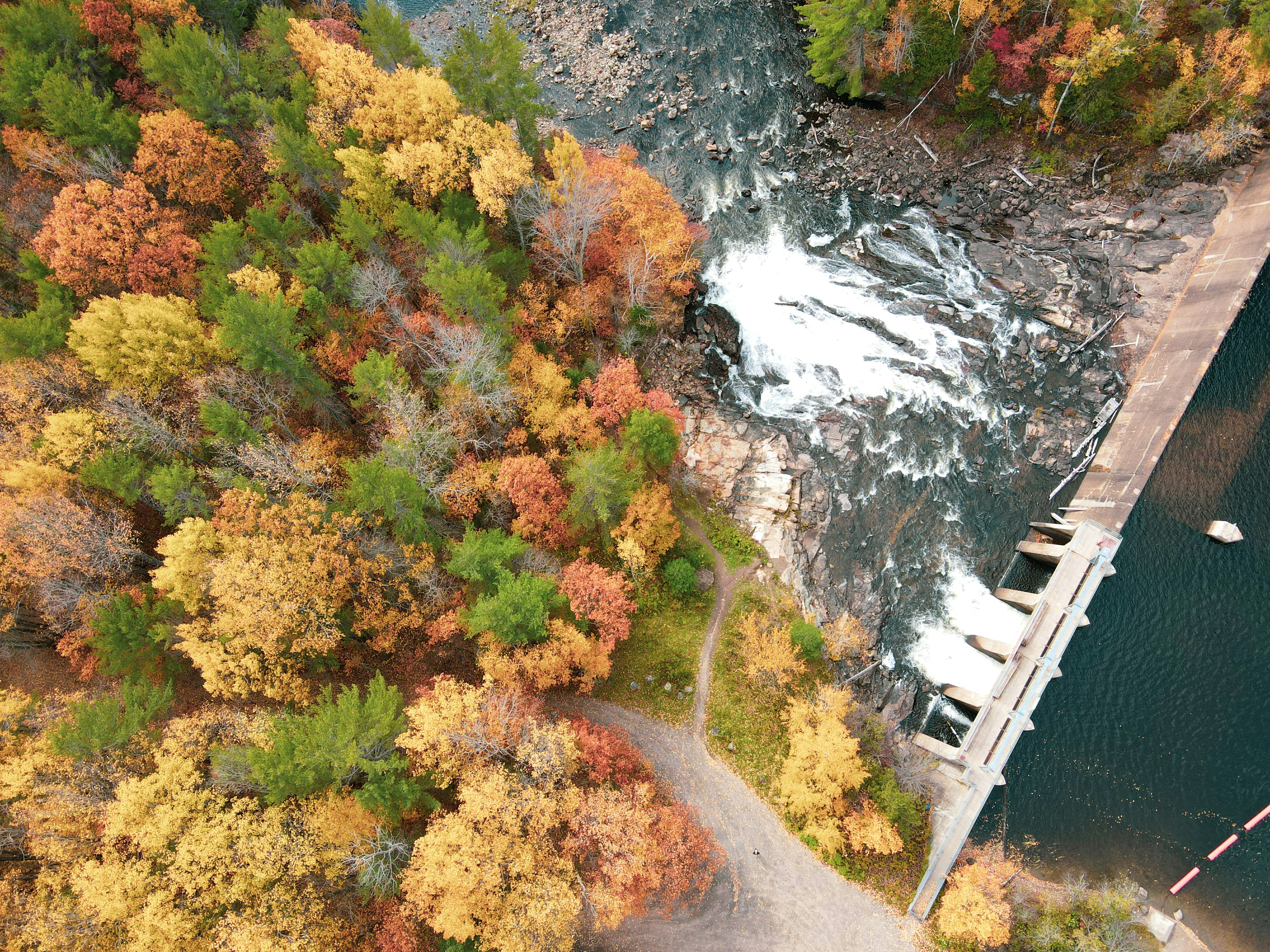 Autumn's Confluence: A Drone View Over Forest Corridor and River Dam