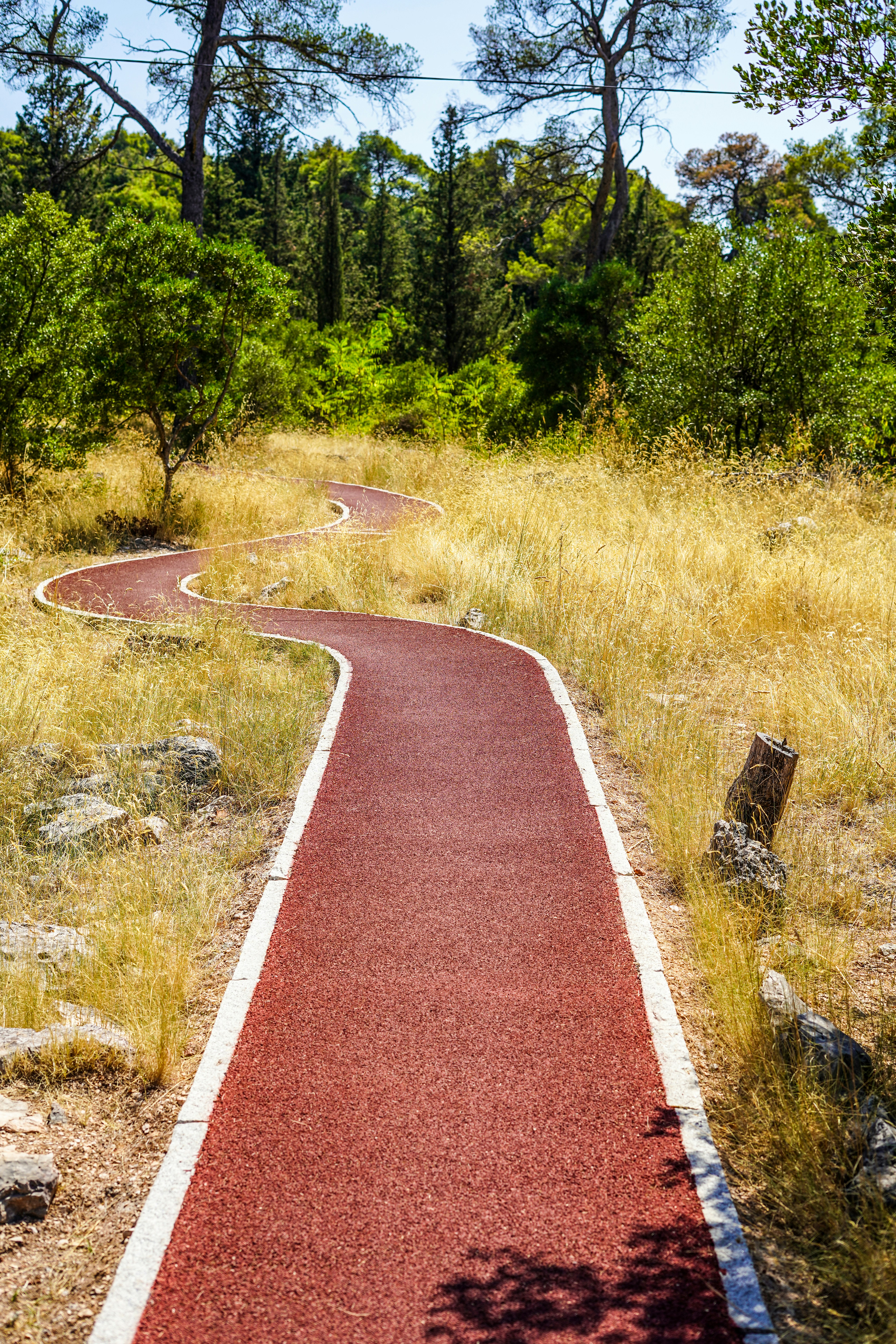 Brown dirt road between green grass field during daytime photo – Free ...
