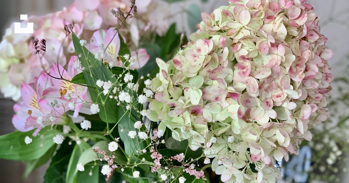 Pink And White Flowers In Clear Glass Vase Photo Free Flower Image On