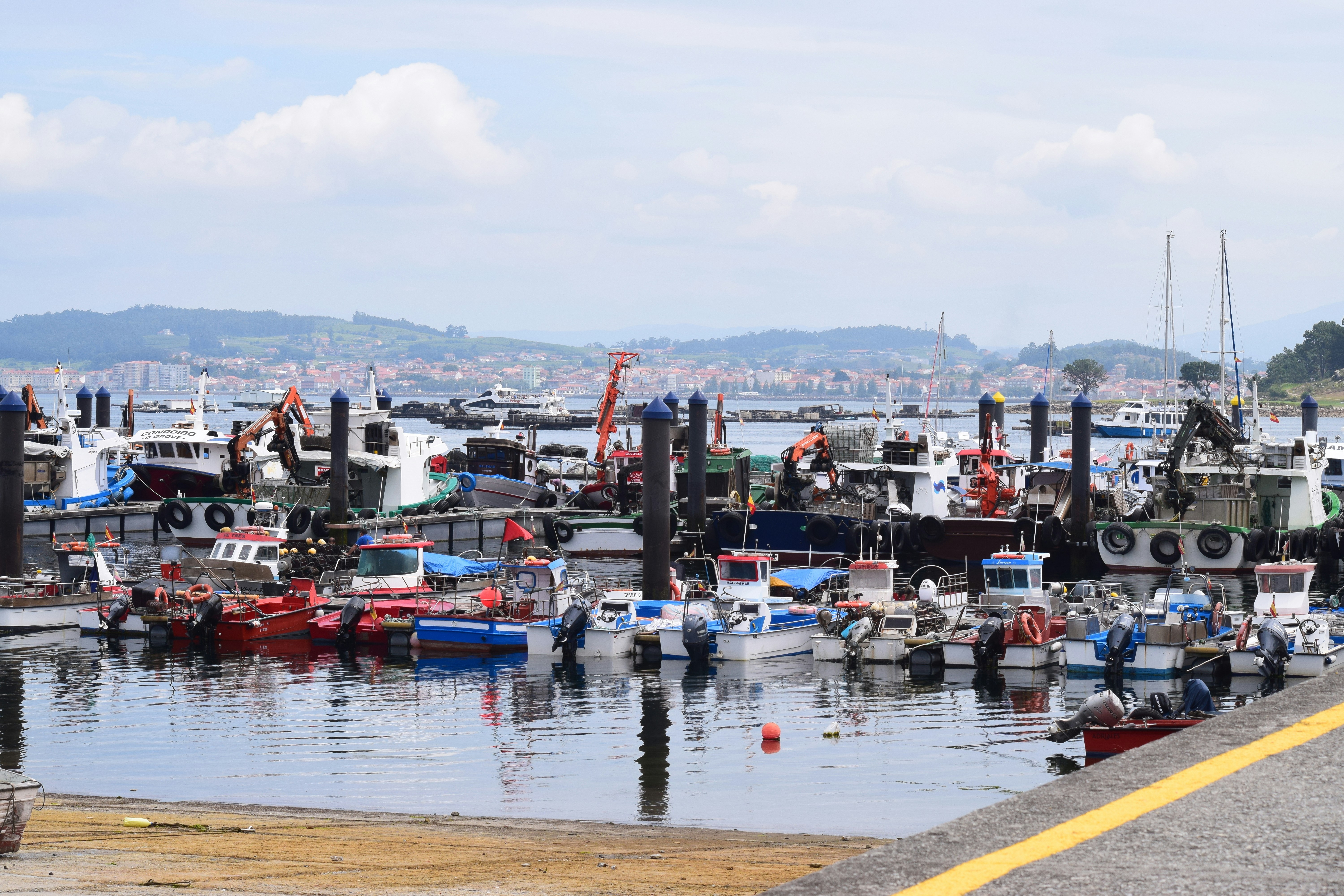 Marina Mosaic: A Calm Harbor Crowded with Colorful Boats and Docks