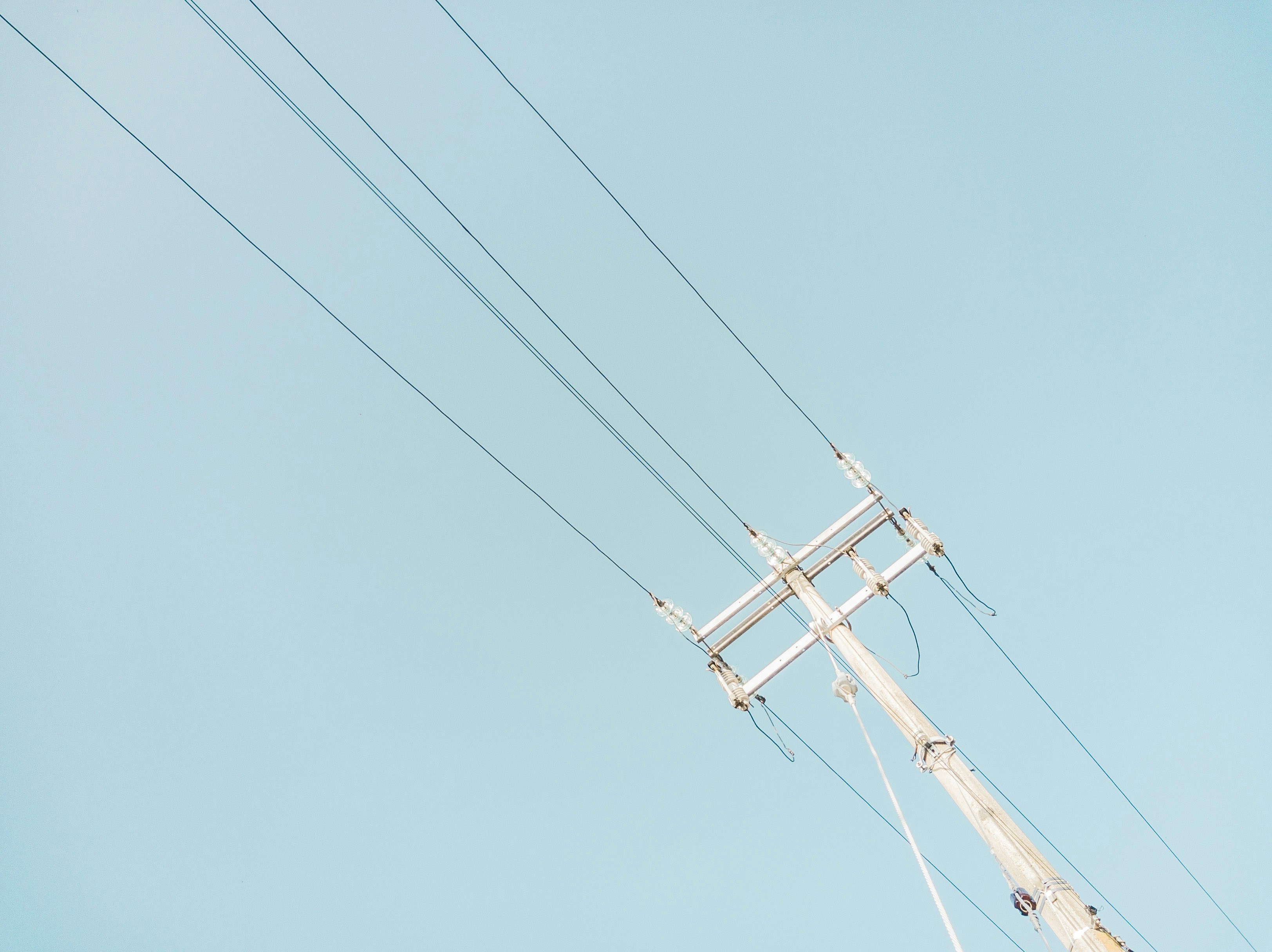 Sample photo from LG K51S