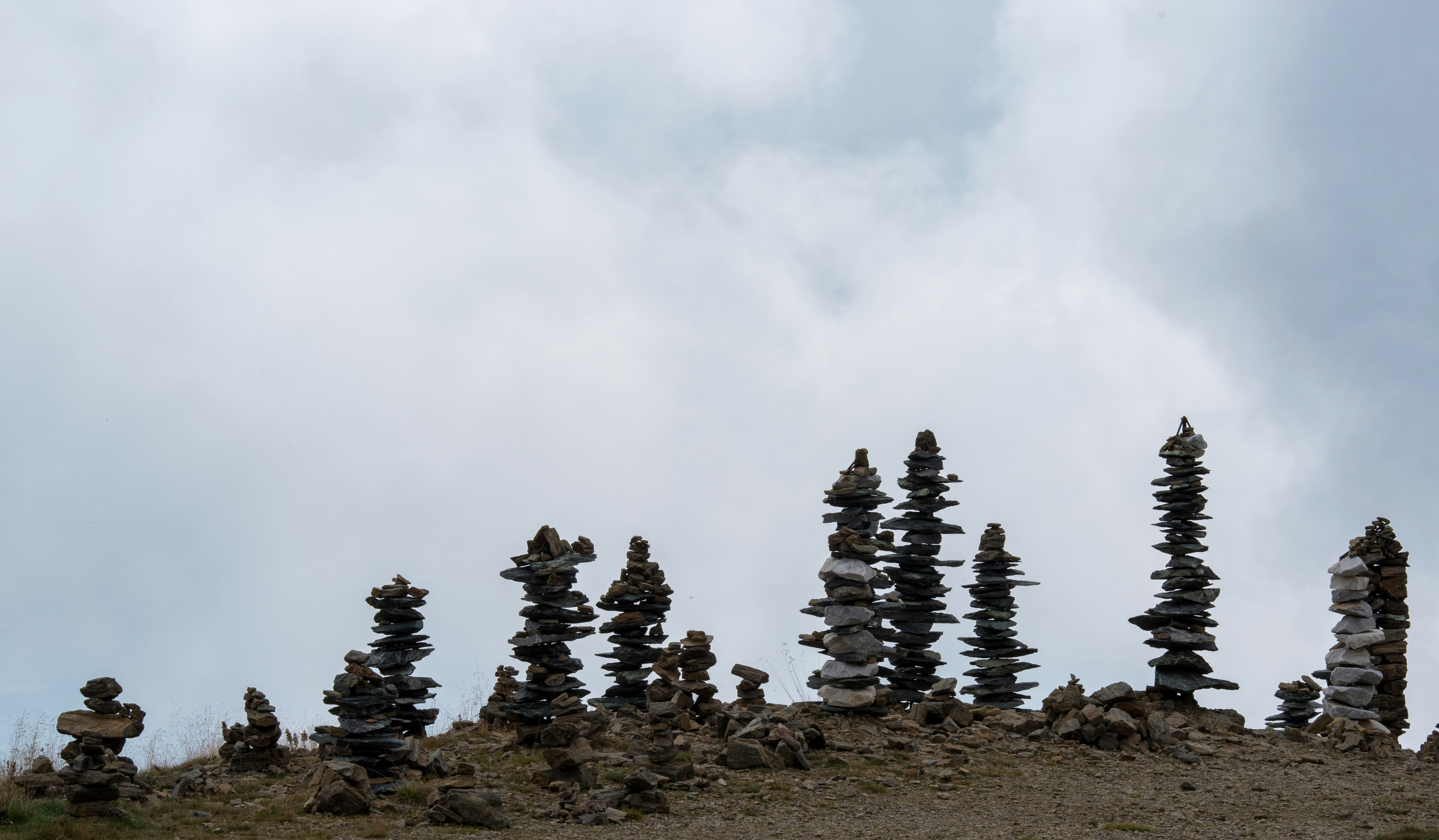 Silent Sentinels of the Summit