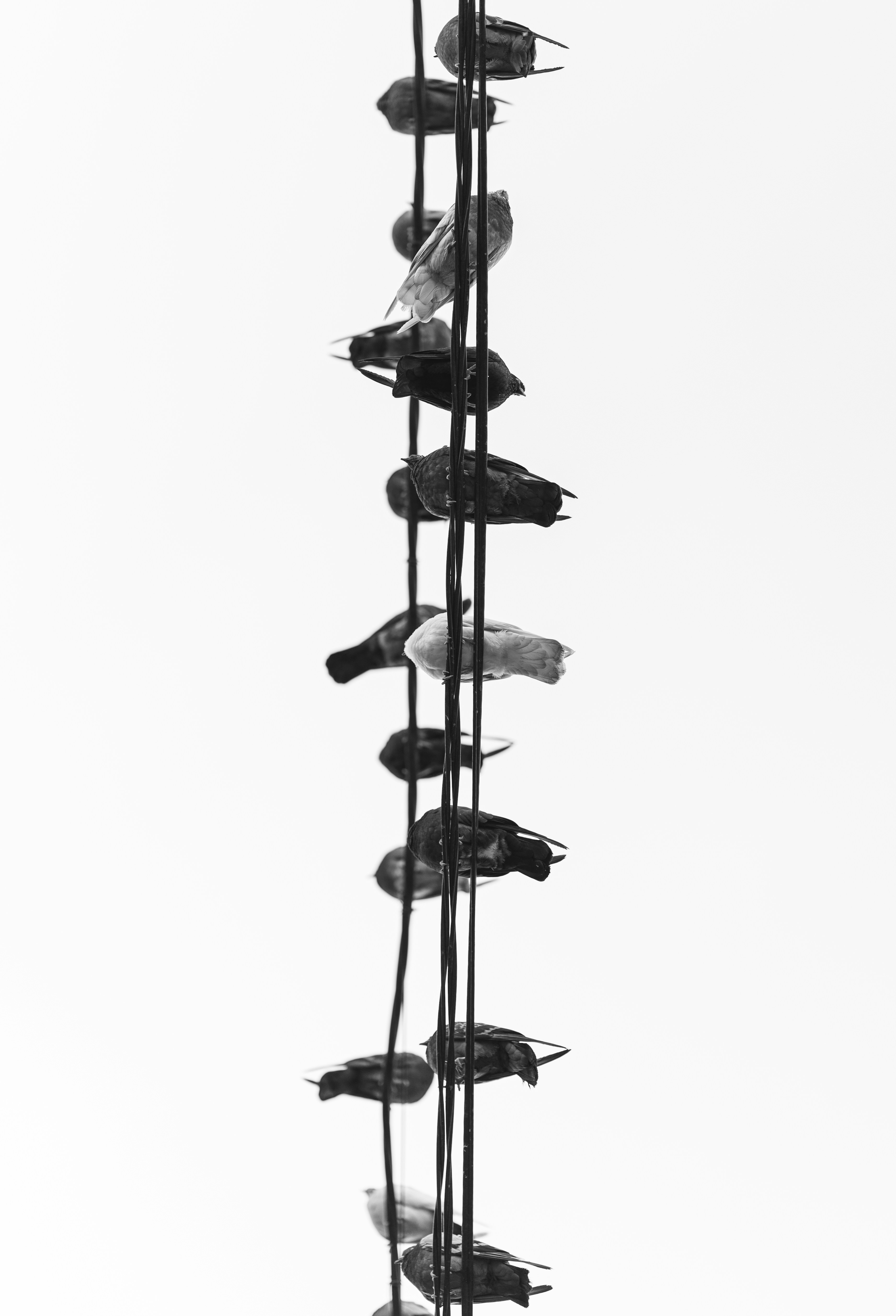 black and white abstract paintingMaksym Tymchyk 🇺🇦