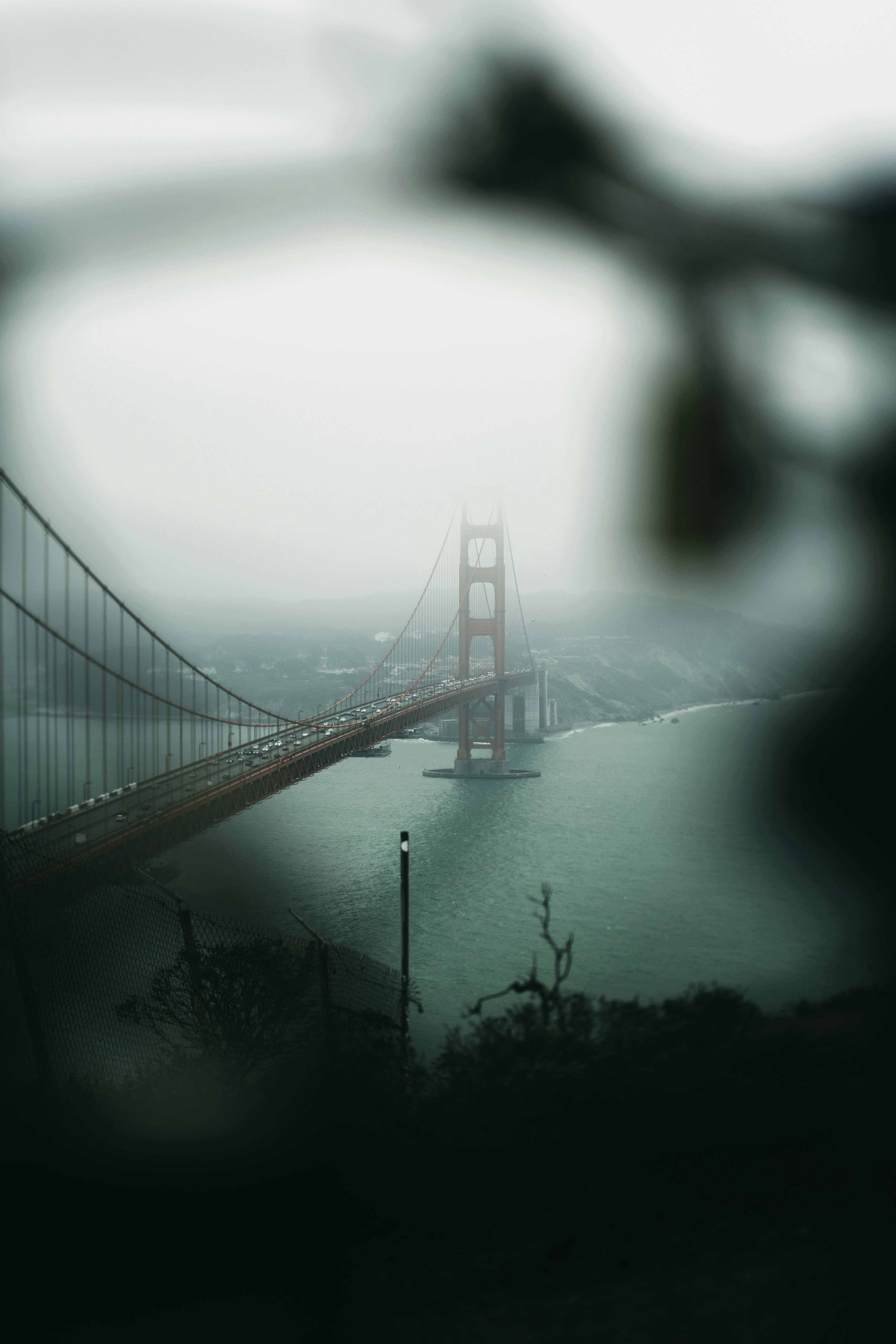 Veiled Suspension: Golden Gate in a Quiet Fog