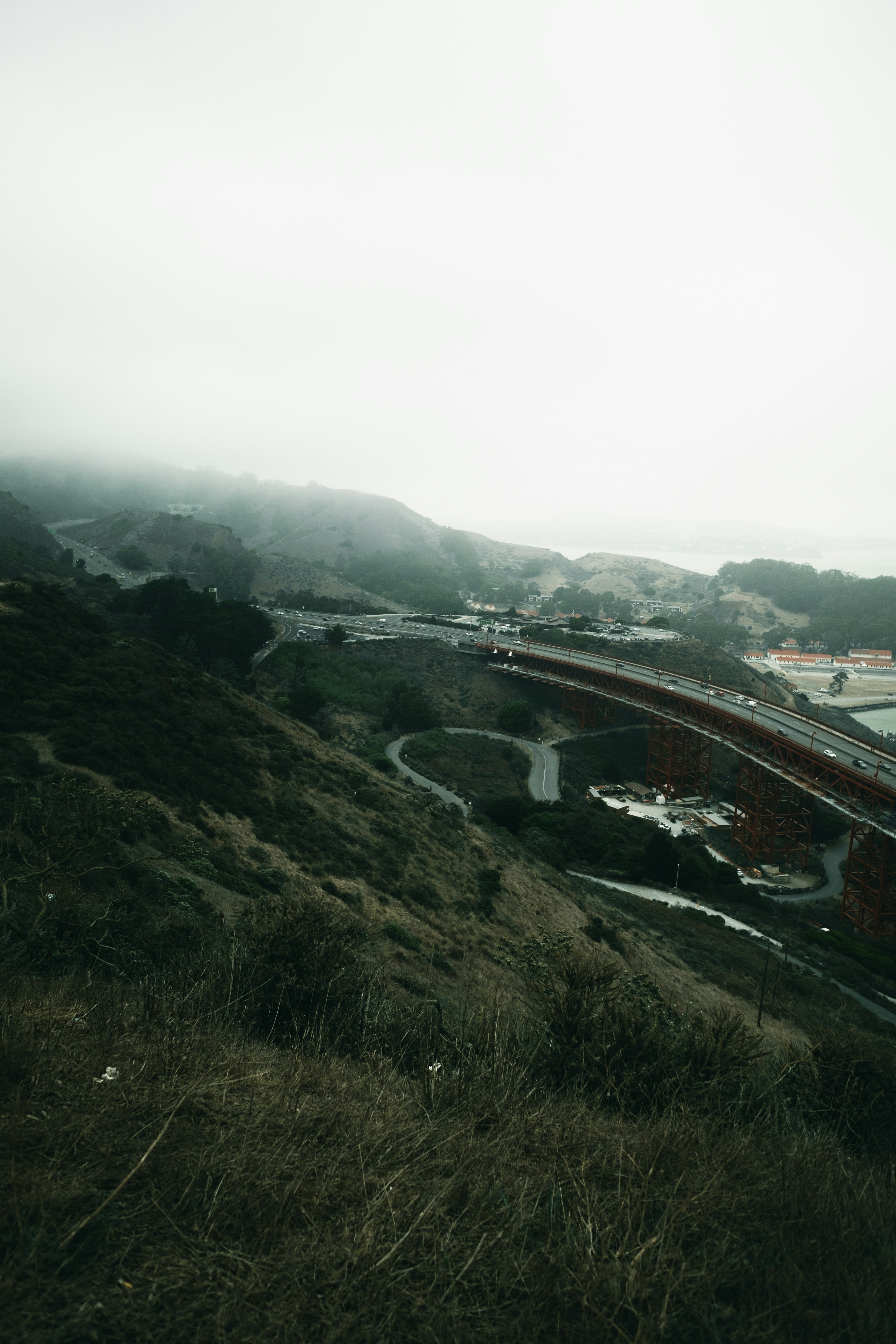Overlook at the Coastal Highway: Mist over the Curved Bridge