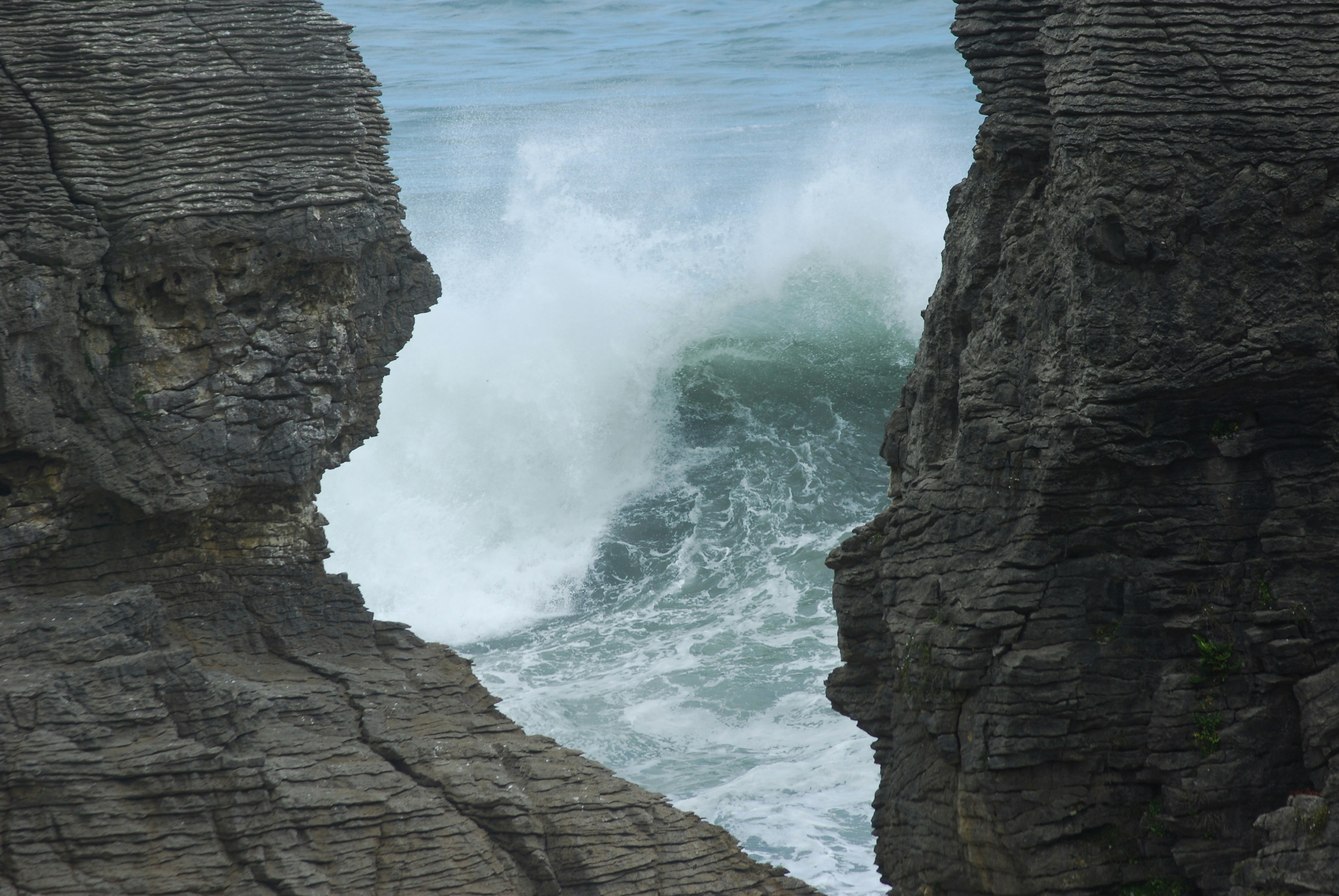 Ferocious vs. Vicious - What's the Difference? | This vs. That