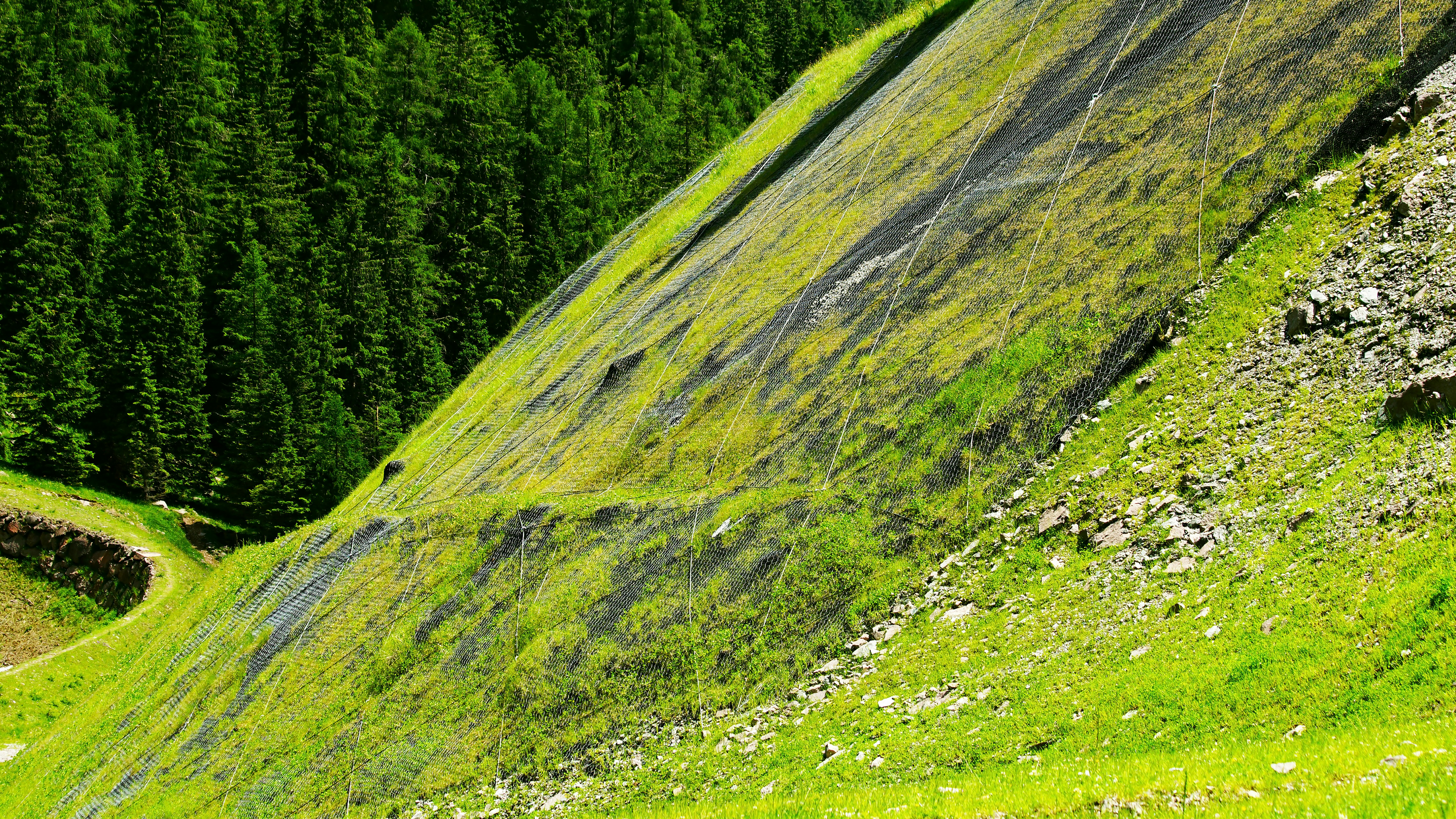 Emerald Slopes: A Quiet Alpine Scene with a Circular Stone Accent
