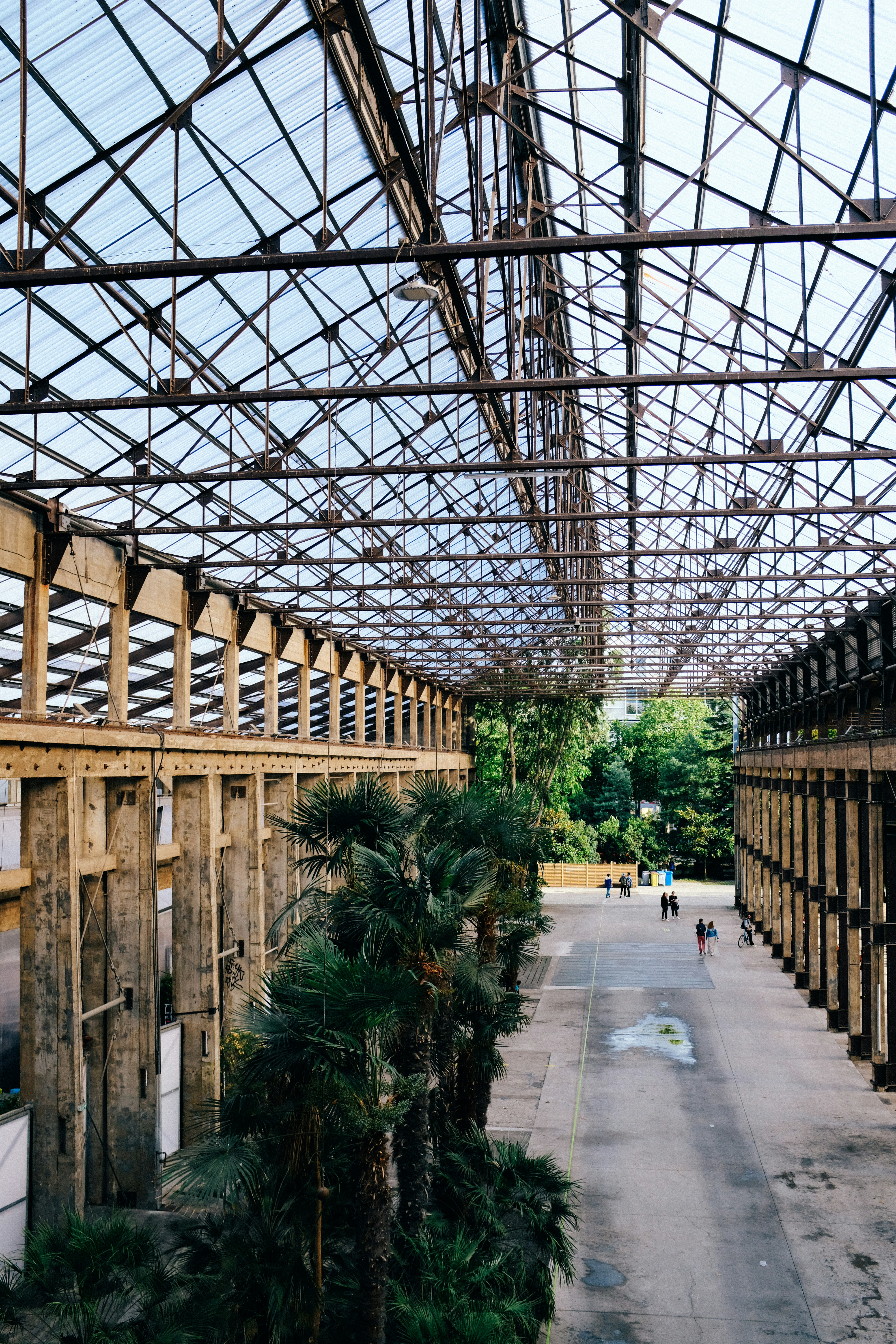 brown wooden bridge with green plants