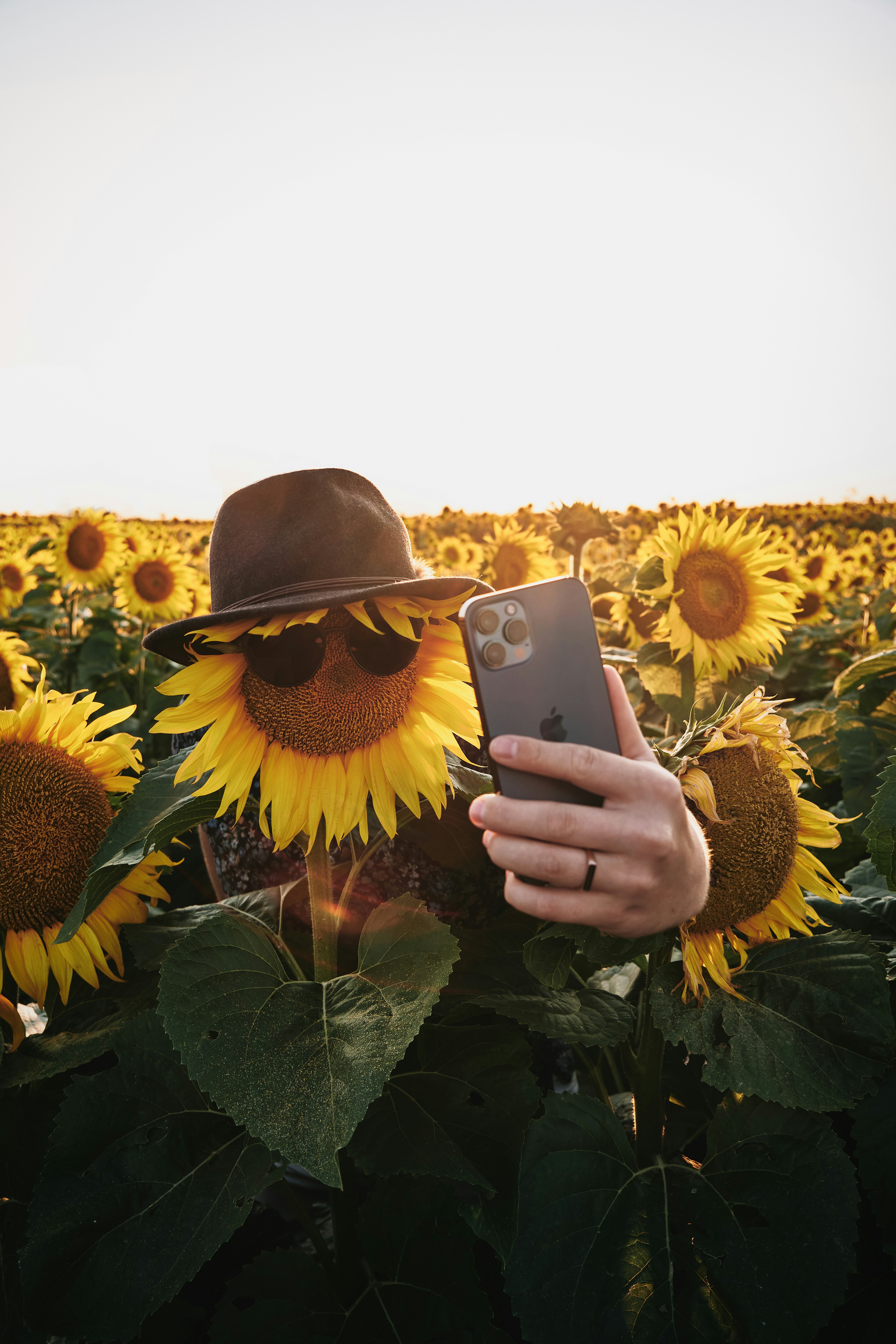 Sunflower Field photo shot on Fujifilm X-T4