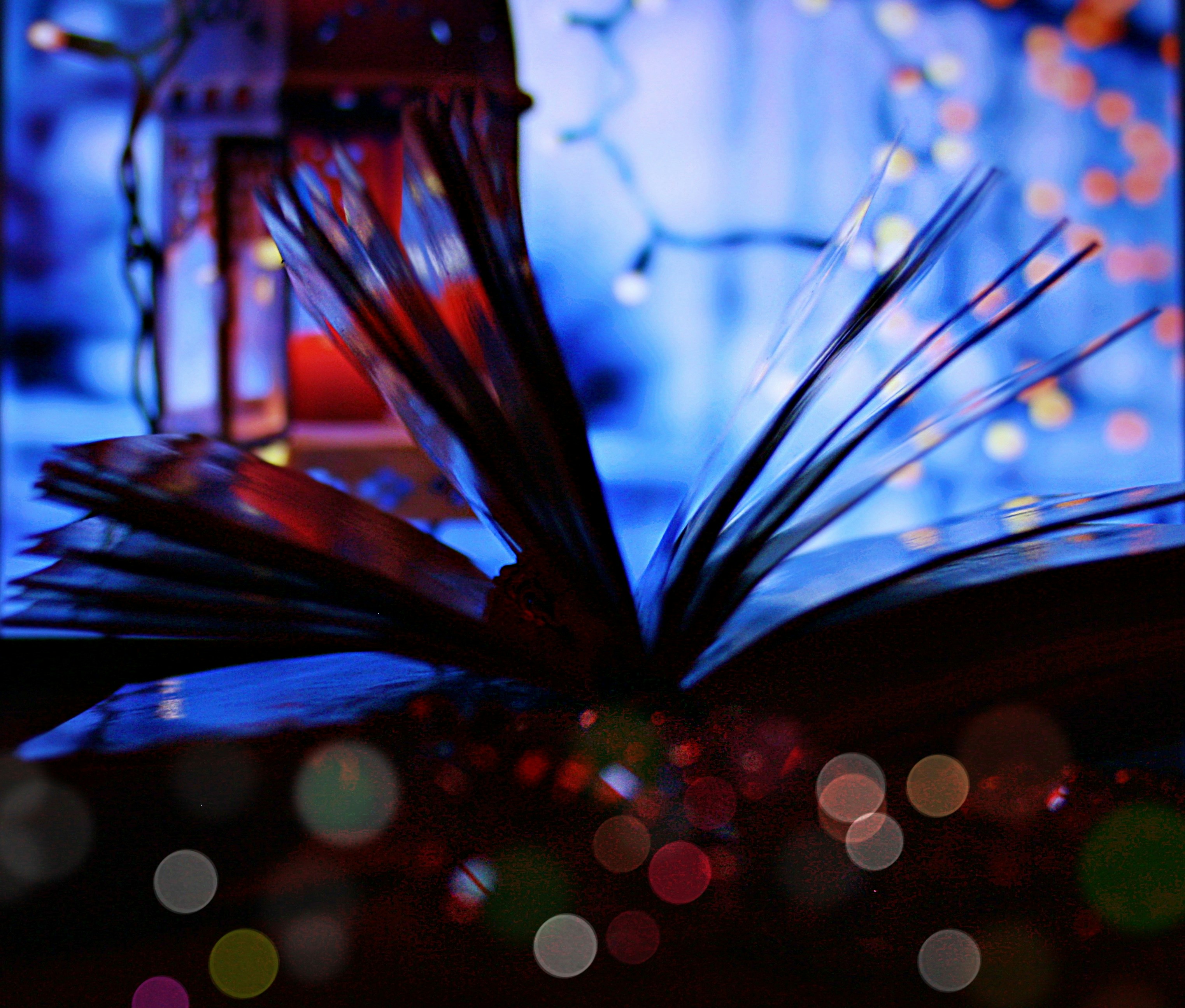 Blue and red light in time lapse photography photo – Free Lighting ...