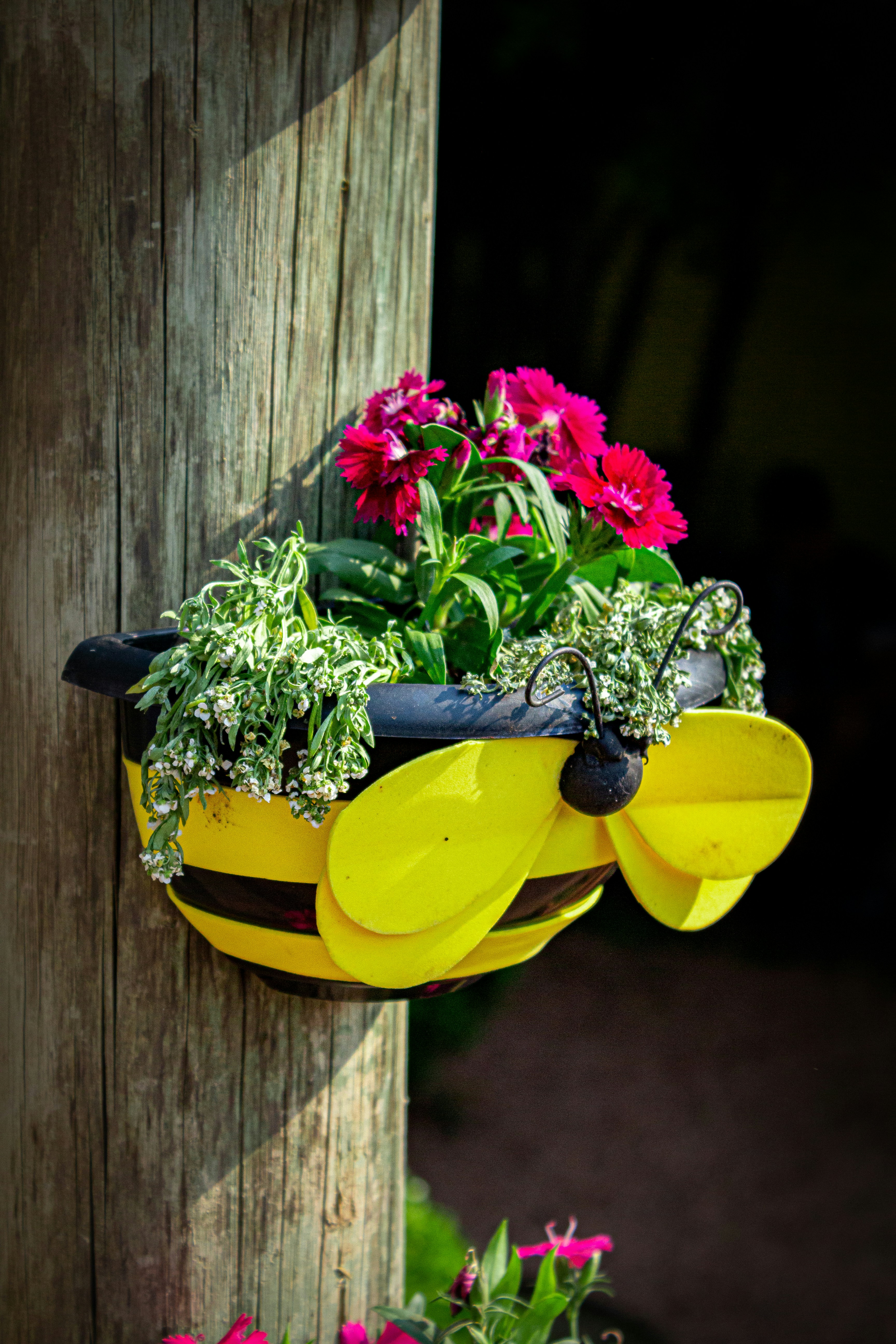 Yellow Planter Blooming from Wood Channel